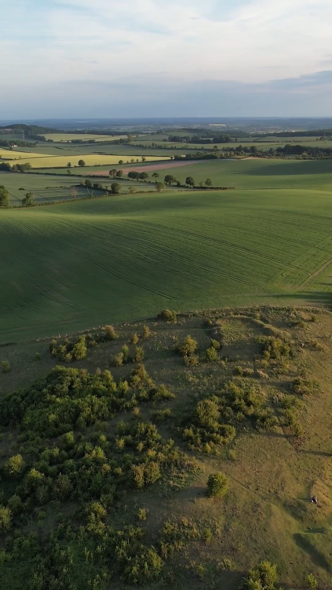 Trees on Green Plains Free Stock Video Footage, Royalty-Free 4K & HD ...