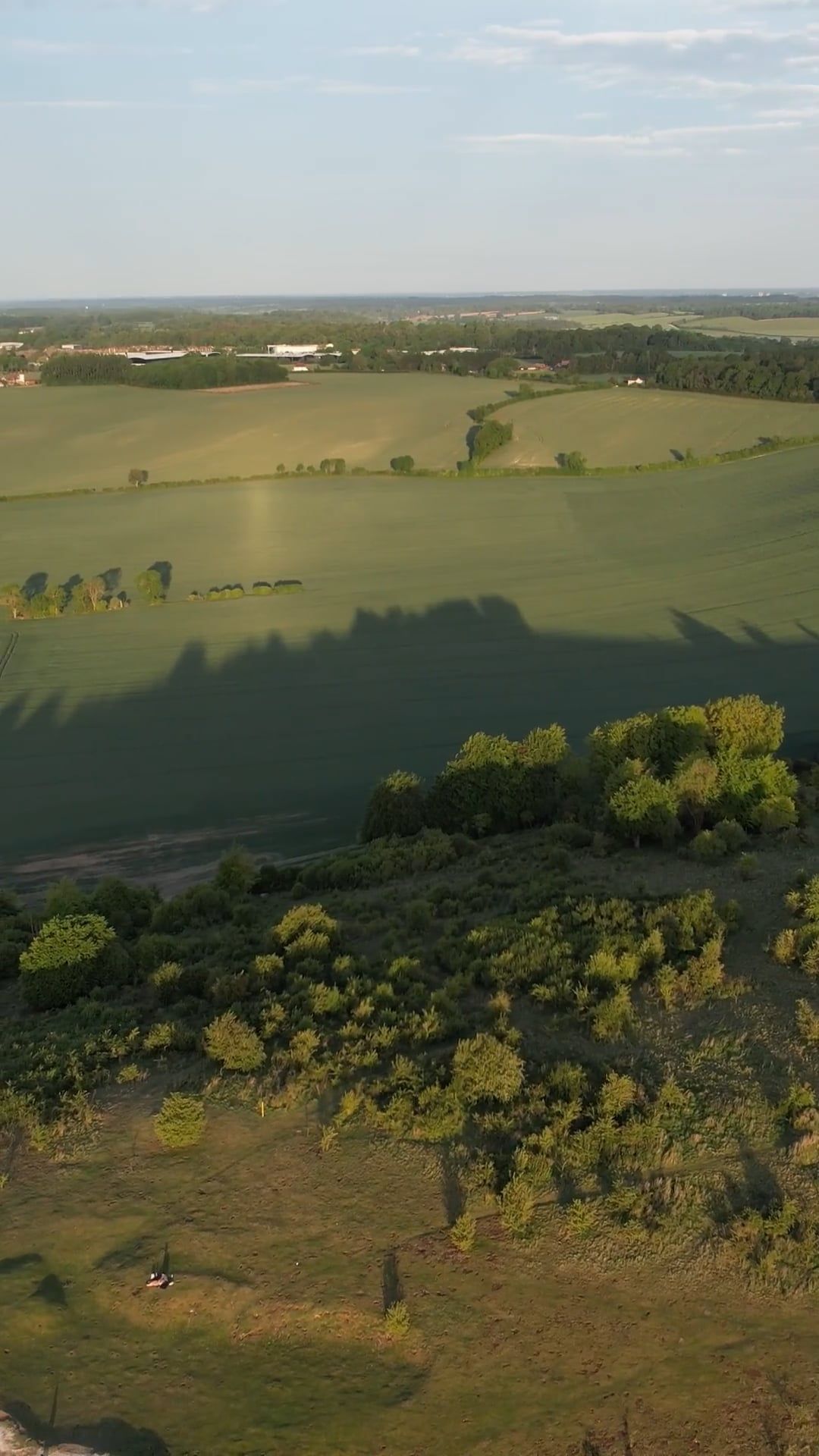 Trees and Plains Free Stock Video Footage, Royalty-Free 4K & HD Video Clip