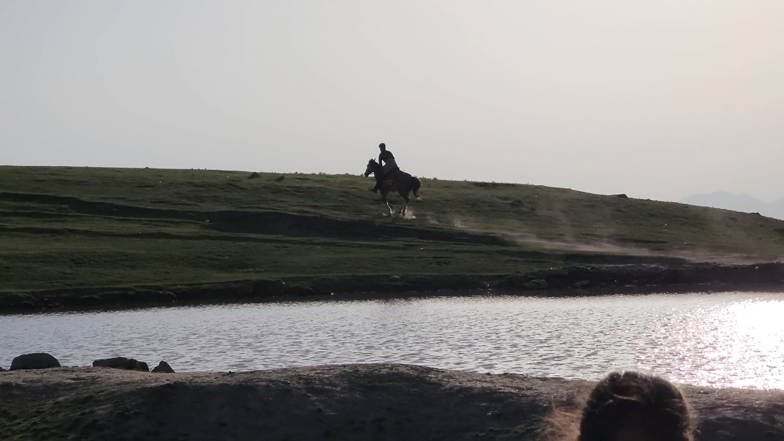 Horse Riding Videos 36 Photos & Videos Collected by Lisa from Pexels