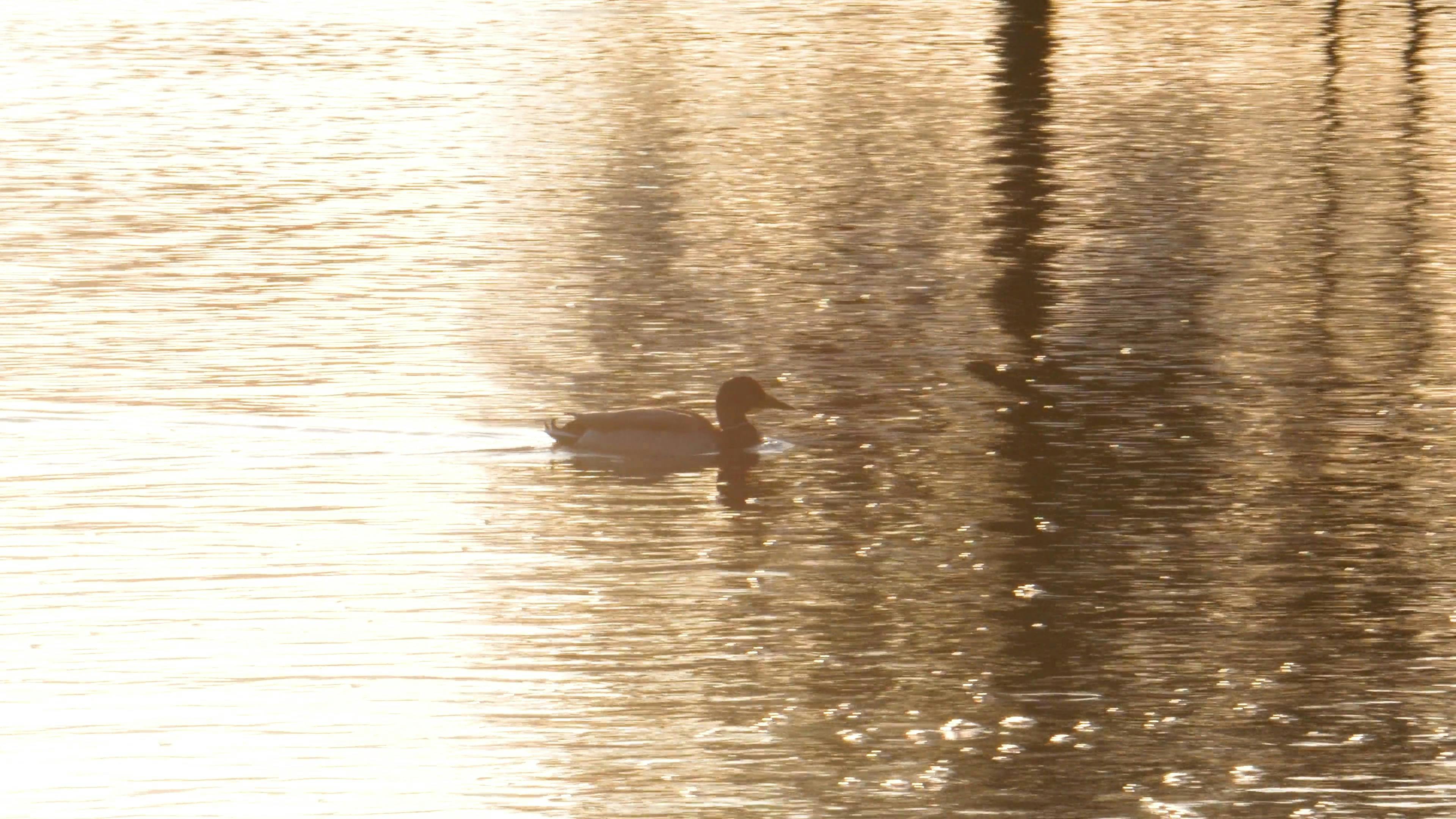 Andrew Dibble – Fotografie