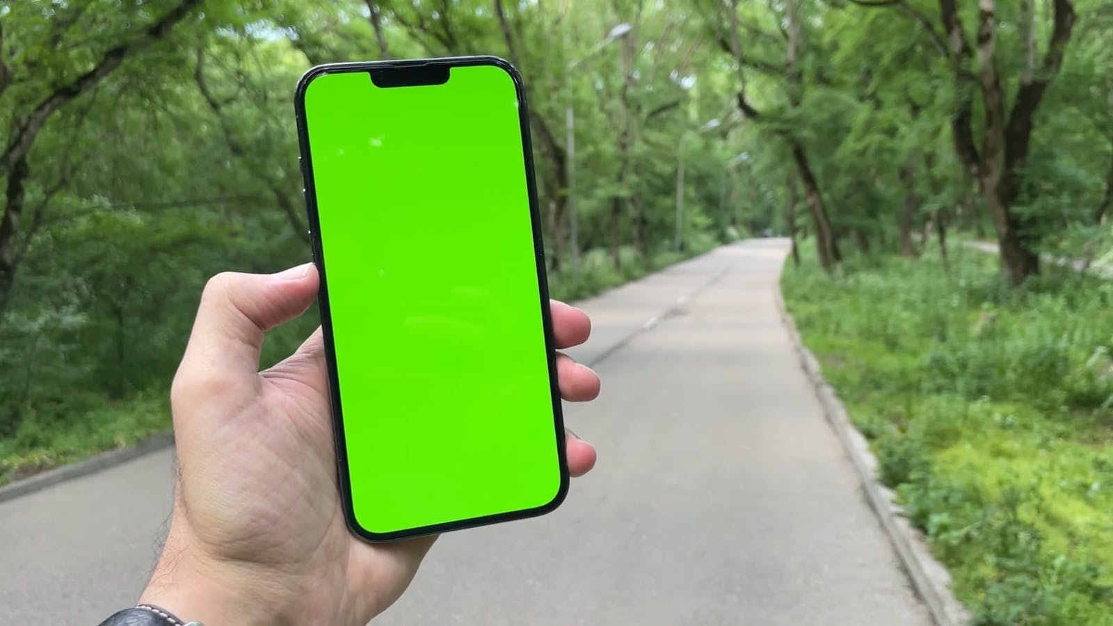 721+ Best Free Chroma key 4K Stock Video Footage & Royalty-Free HD ...