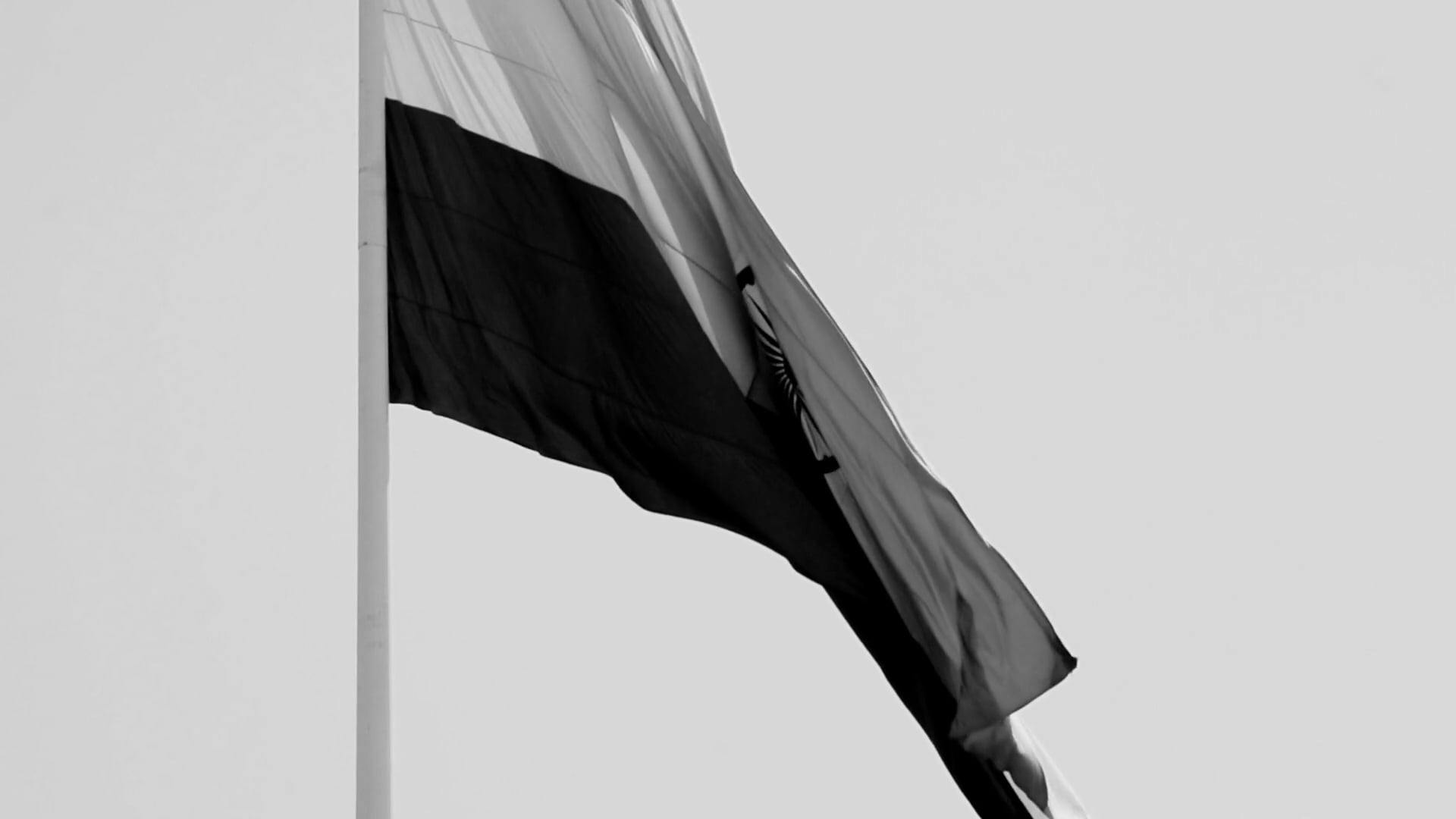 Tri Color Background Videos, Download The BEST Free 4k Stock Video ...