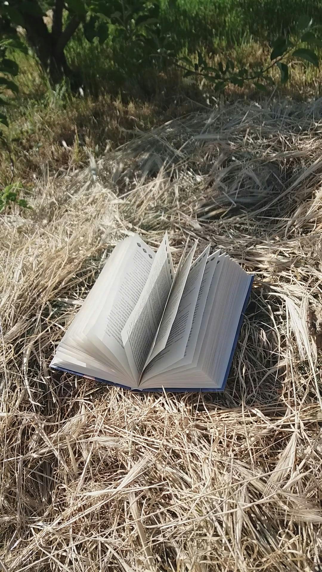 Moving Pages of Books Free Stock Video Footage, Royalty-Free 4K & HD ...