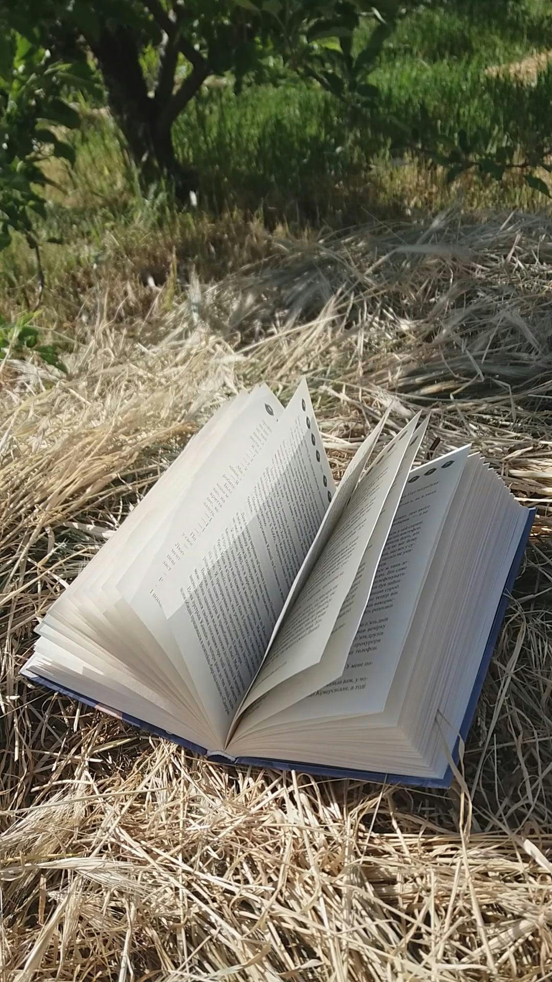 Open Book on Ground Free Stock Video Footage, Royalty-Free 4K & HD ...