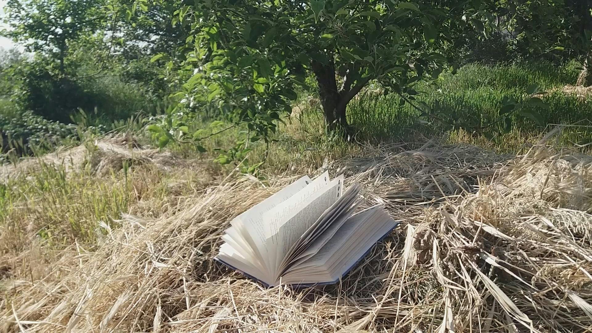 Book on Ground Free Stock Video Footage, Royalty-Free 4K & HD Video Clip