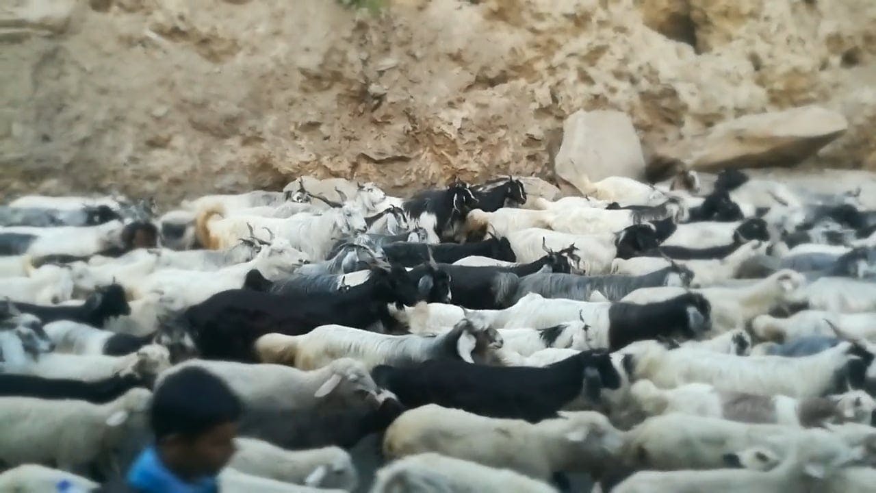 Non Copyright Anime Videos, Download The BEST Free 4k Stock Video ...