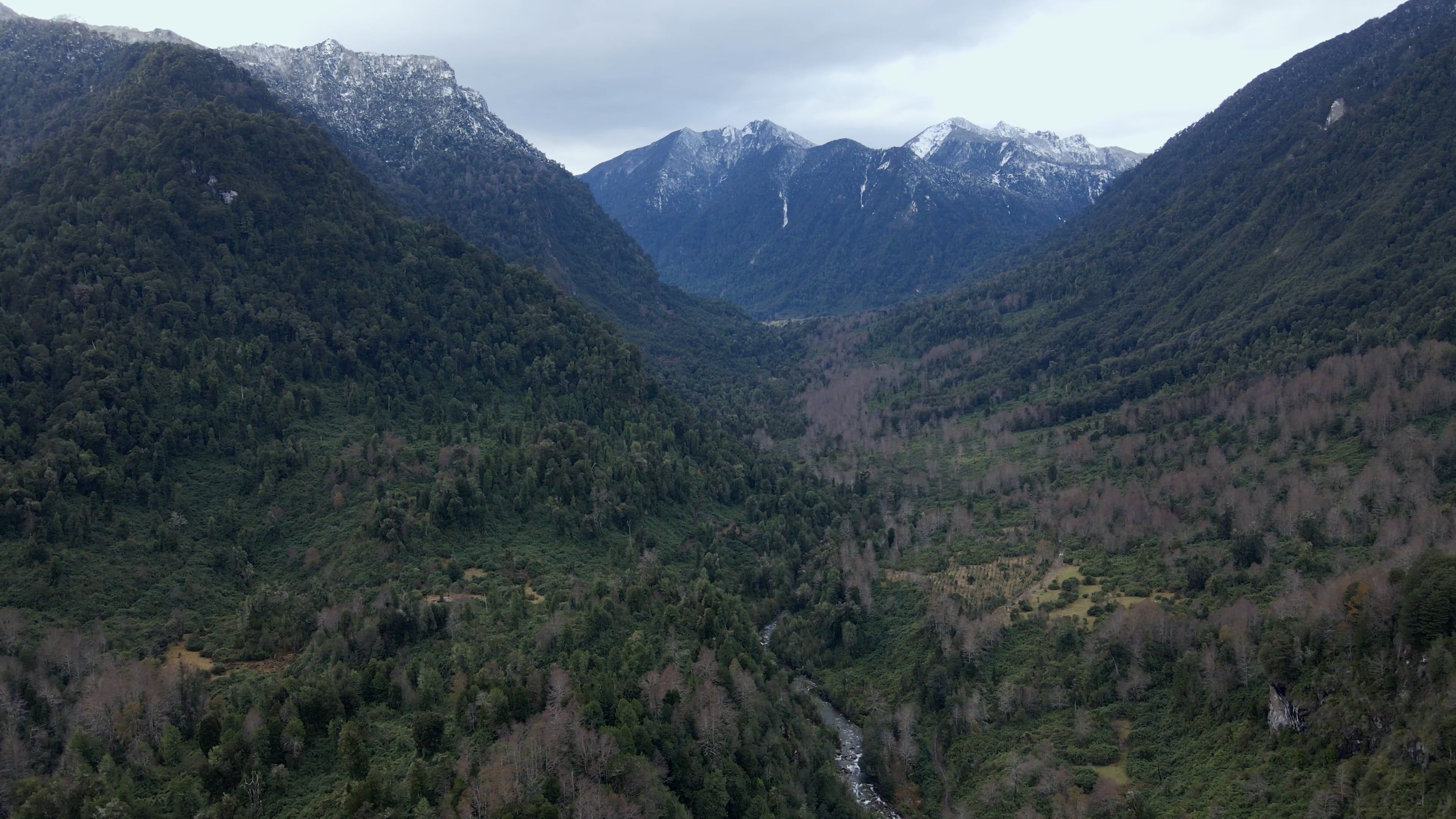 Valley and Forest in Mountains Free Stock Video Footage, Royalty-Free ...