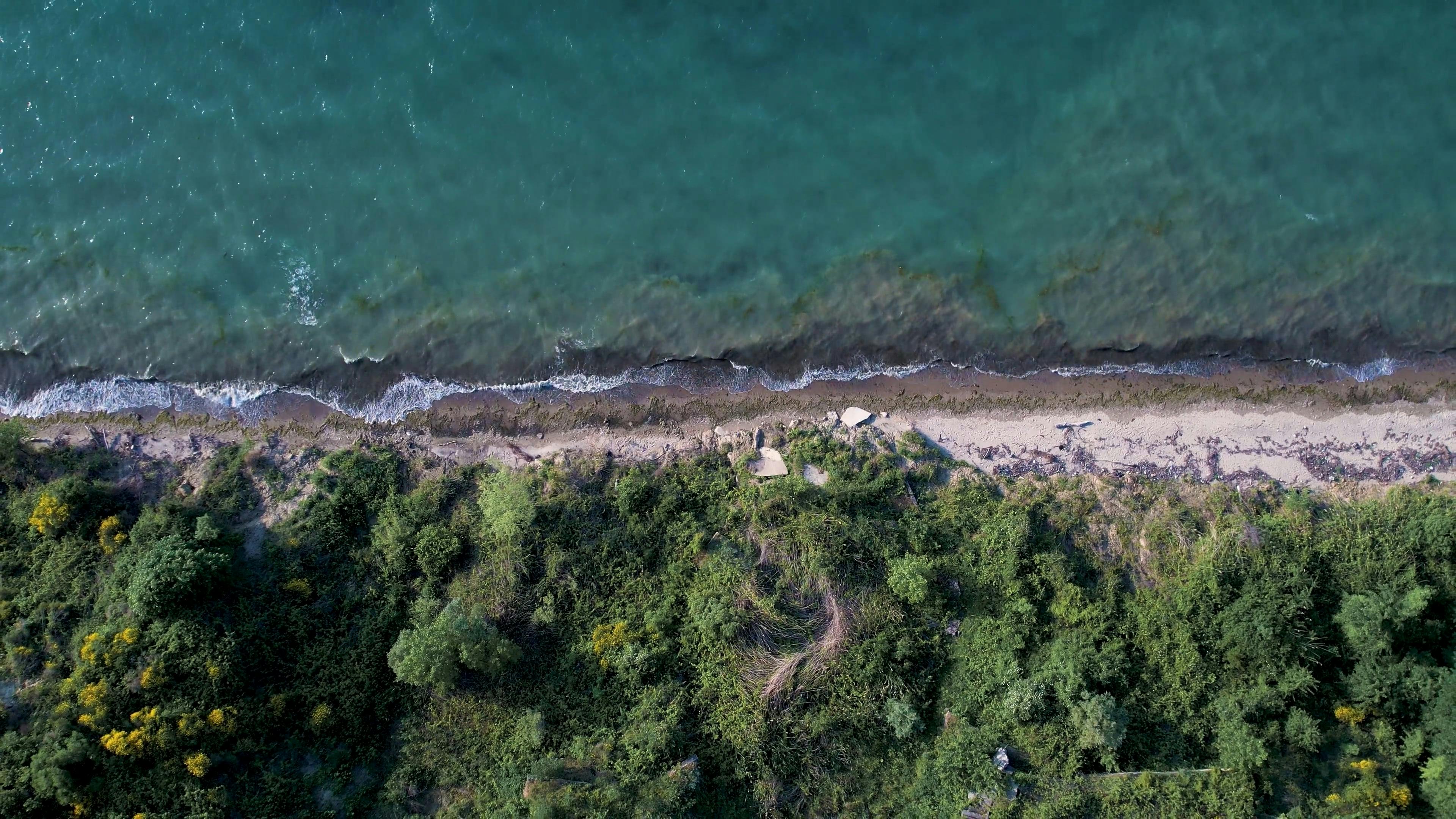 Forest on Sea Shore Free Stock Video Footage, Royalty-Free 4K & HD ...