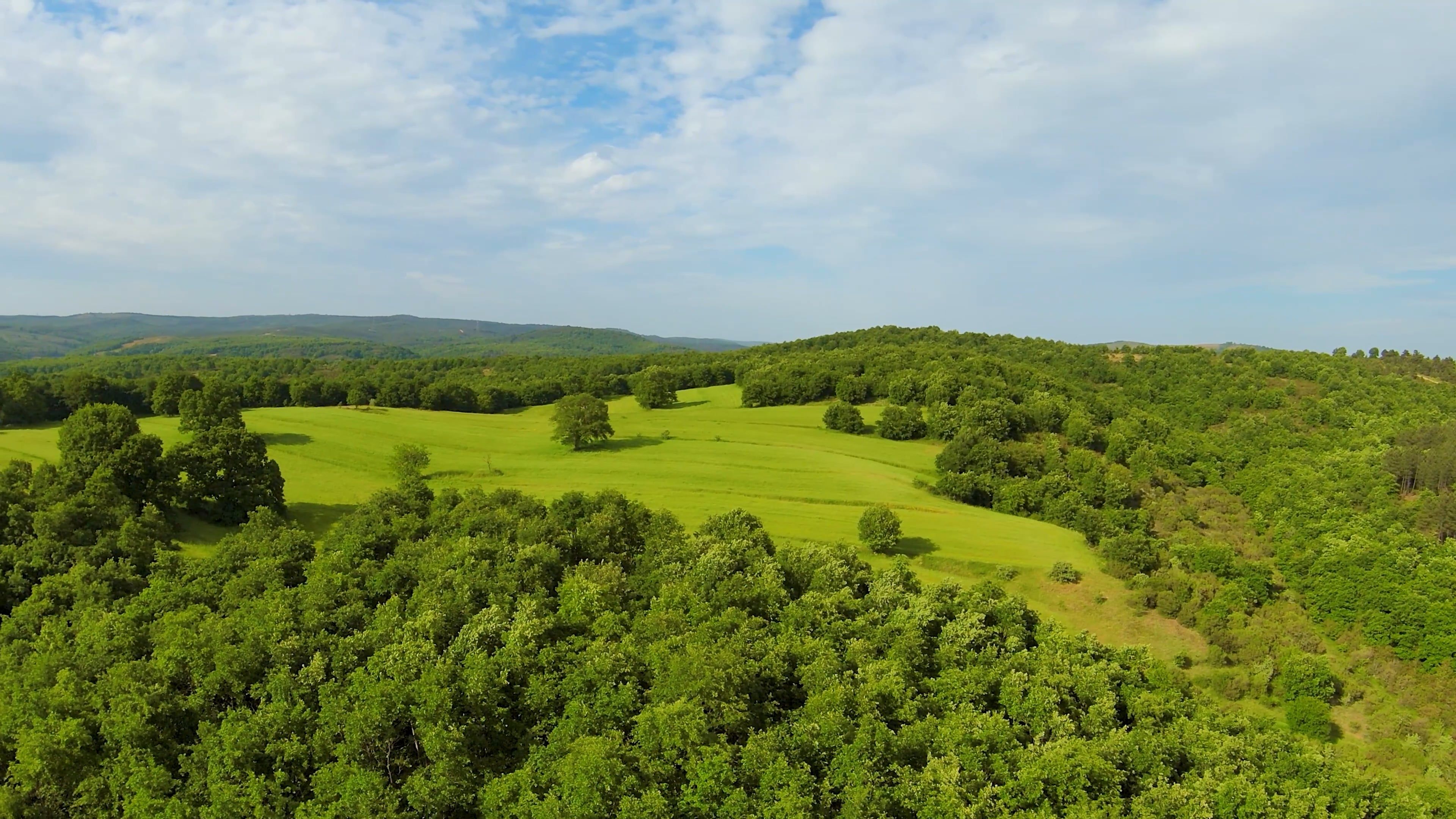 Forest on Plains Free Stock Video Footage, Royalty-Free 4K & HD Video Clip