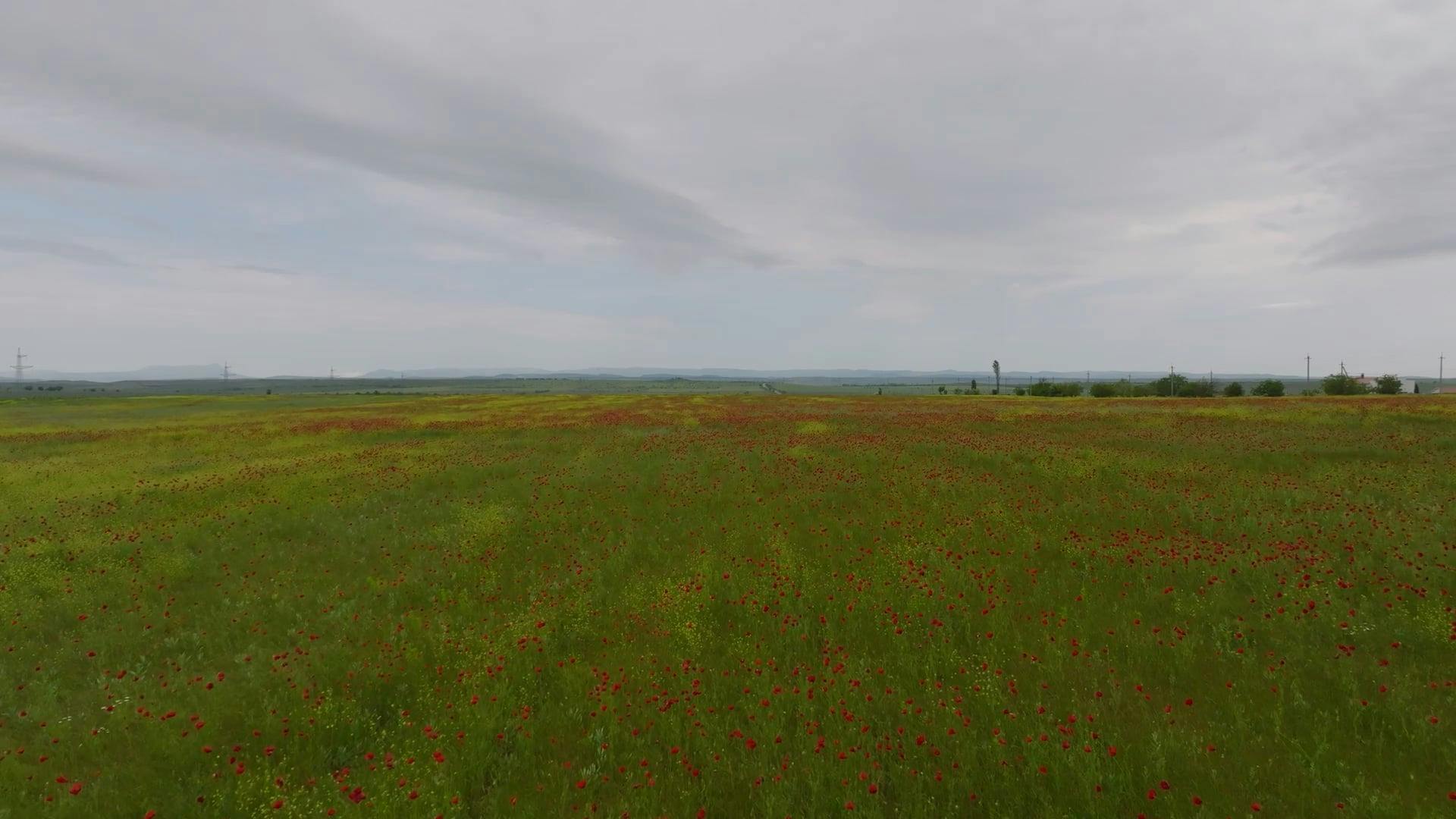 Overcast over Plains Free Stock Video Footage, Royalty-Free 4K & HD ...