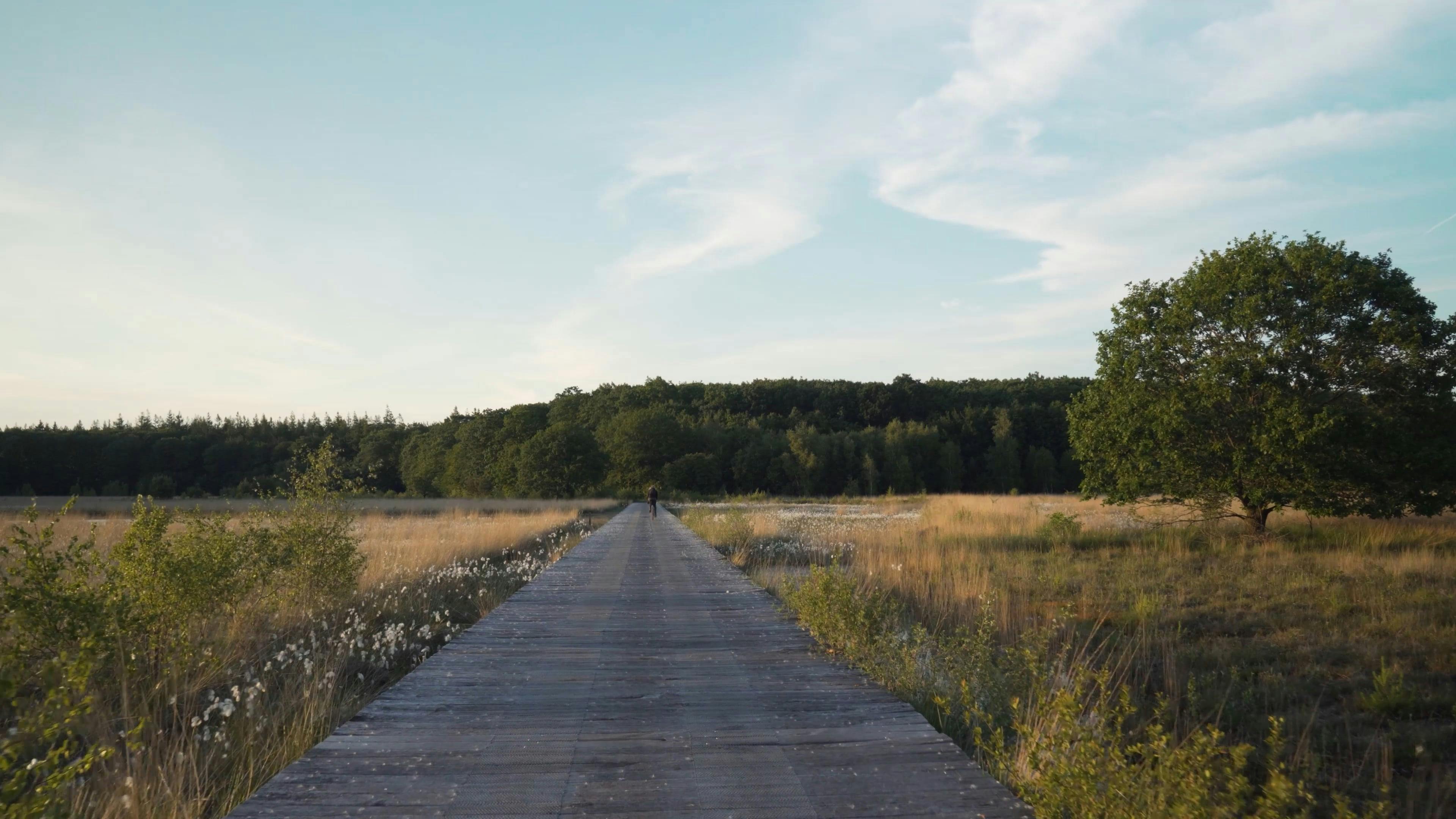 Path Pan Videos, Download The BEST Free 4k Stock Video Footage & Path ...