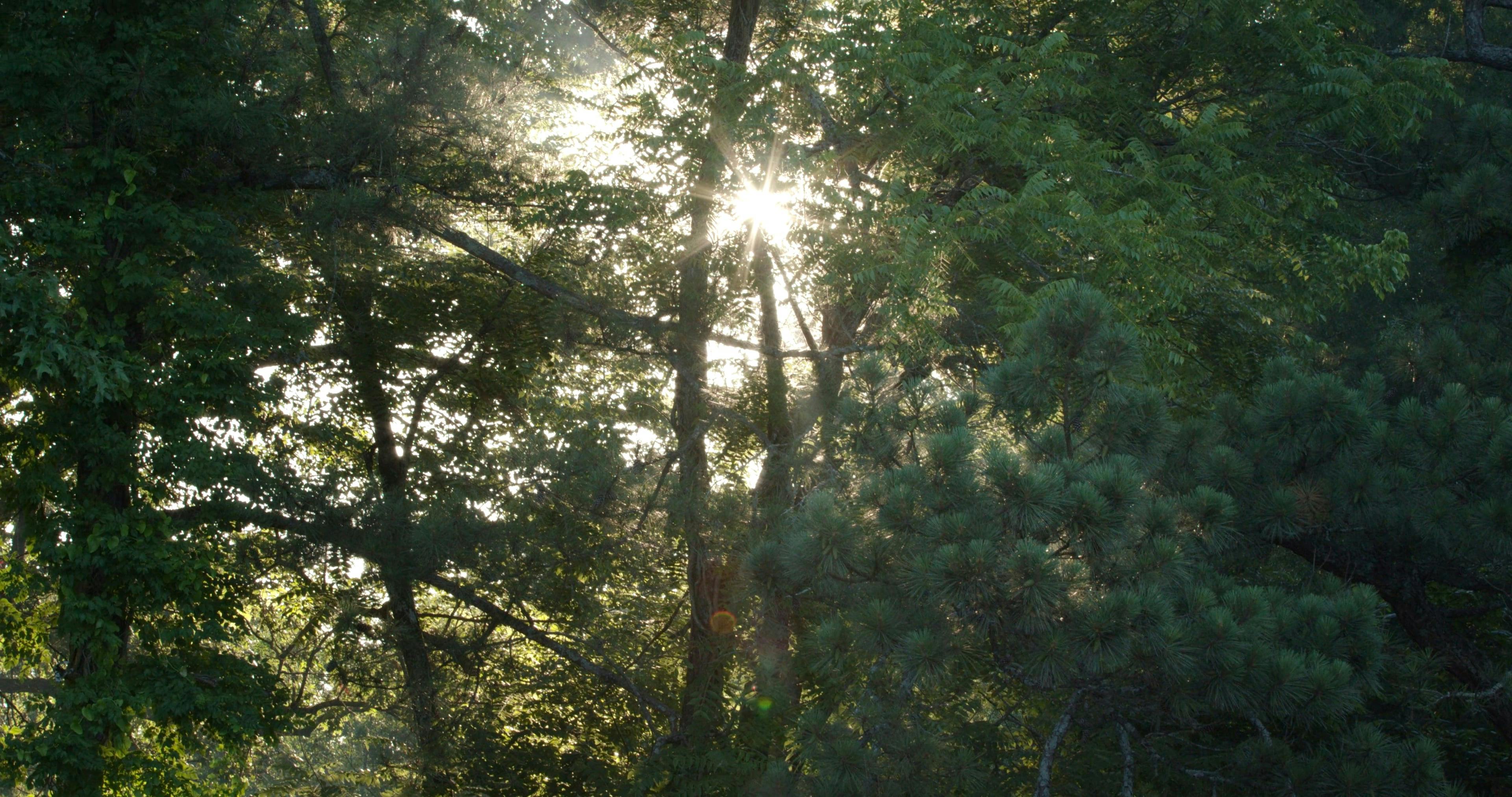 James Cheney - 摄影