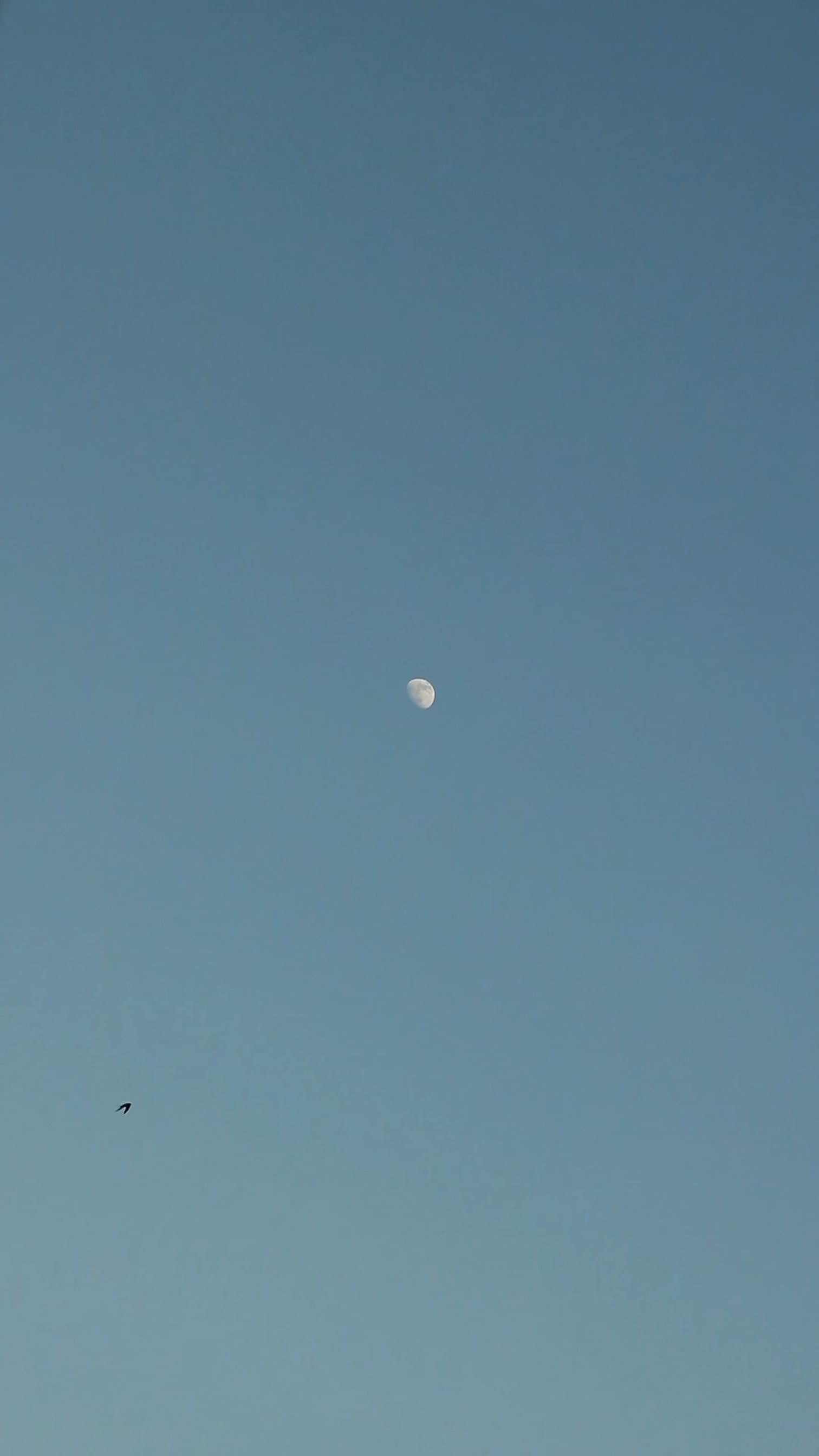 Aesthetic Wide Videos, Download The BEST Free 4k Stock Video Footage ...