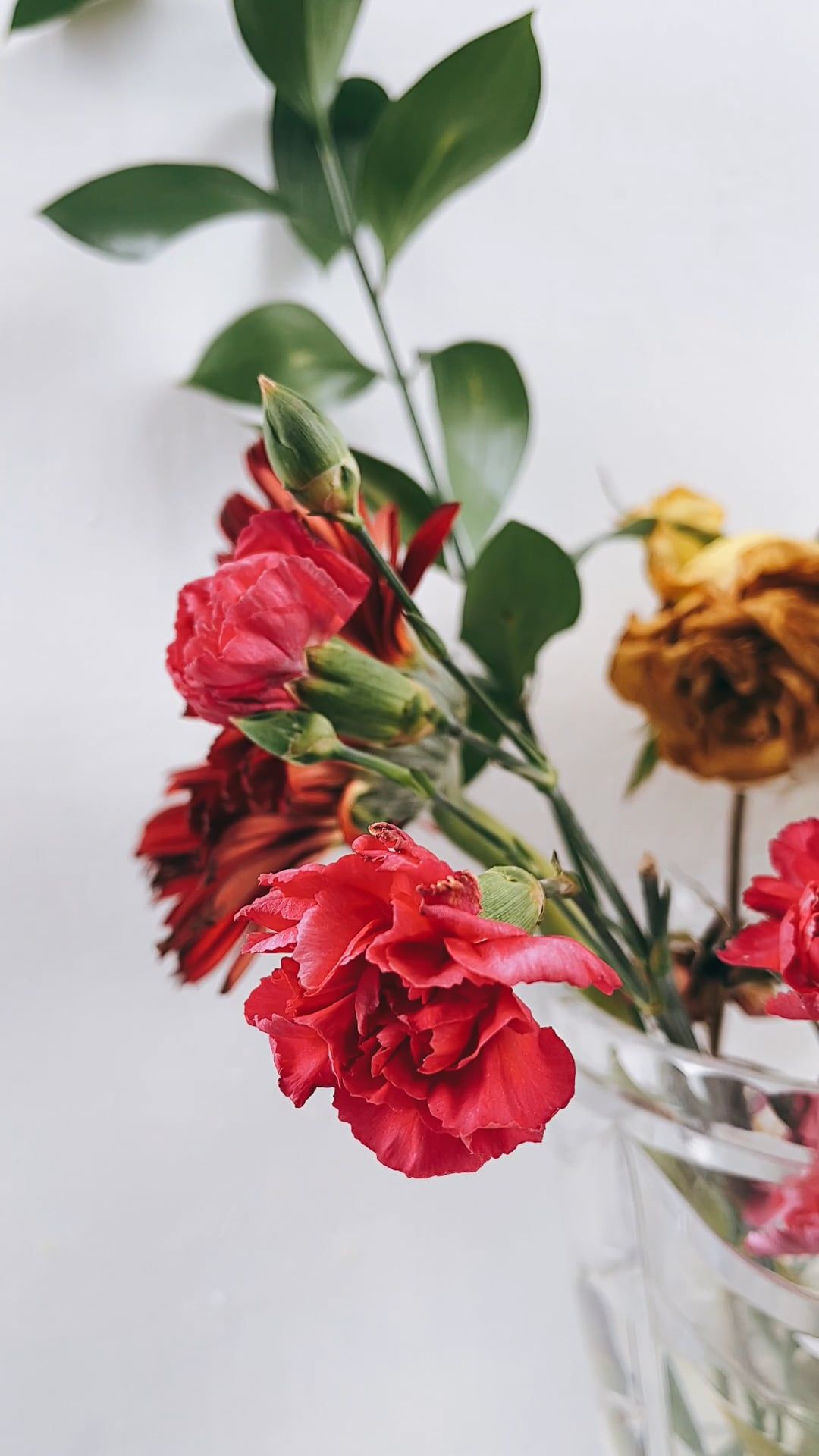 Close-up View of Flowers Bouquet Free Stock Video Footage, Royalty-Free ...