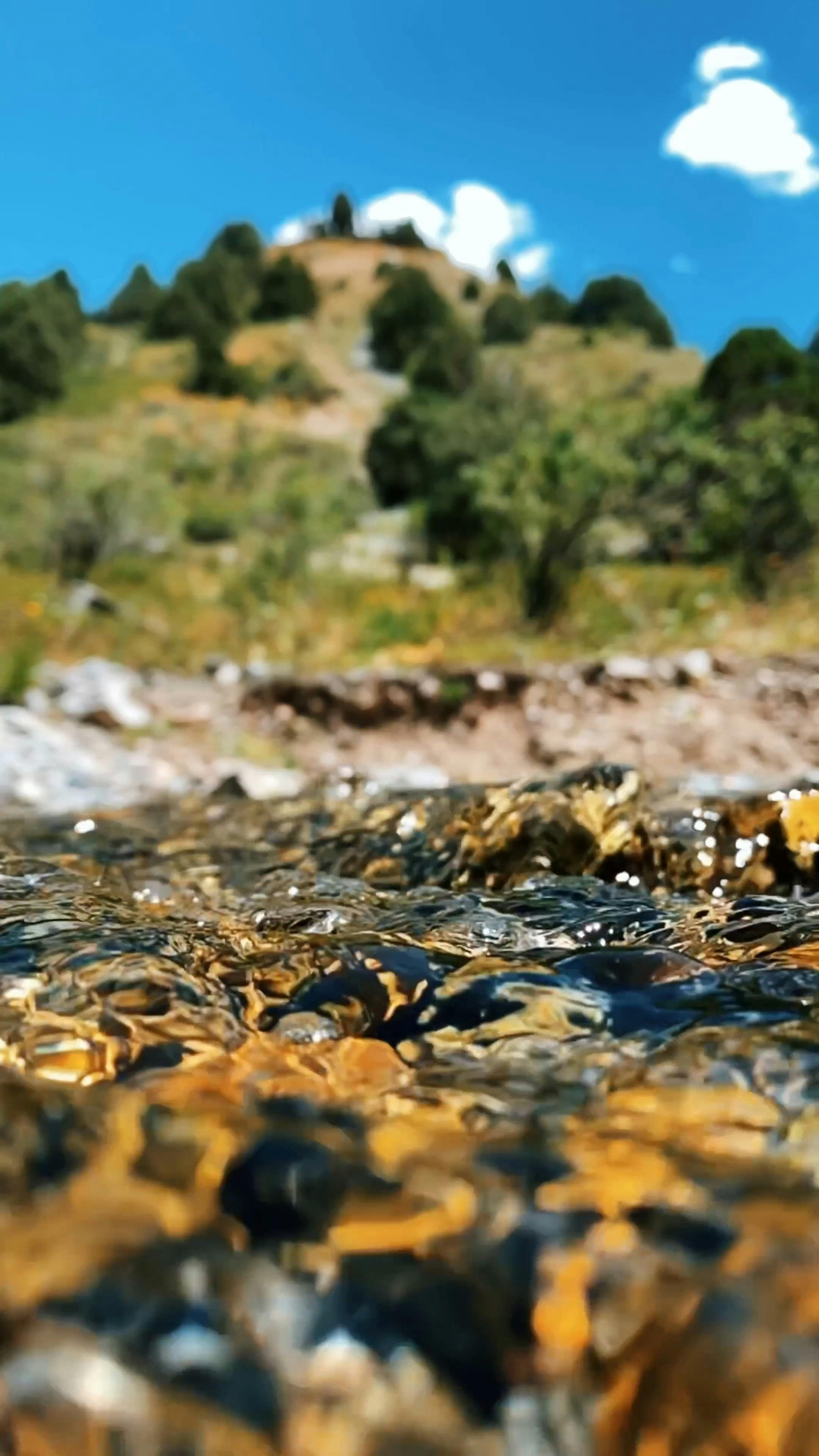 A Narrow River Streaming In A Bed Of Rocks Free Stock Video Footage ...