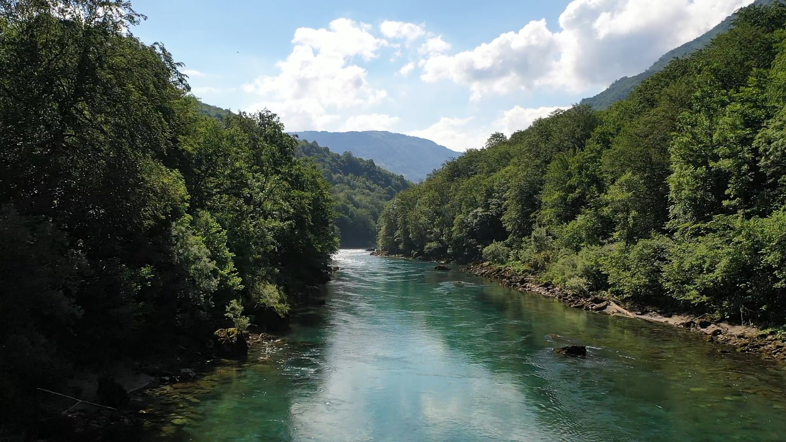Drone View of a Forest and a River in a Valley Free Stock Video Footage ...