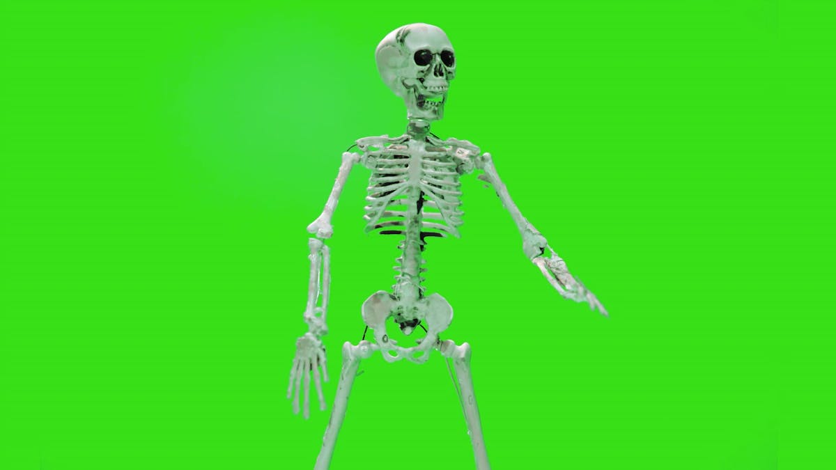Animated Skeleton Videos, Download The BEST Free 4k Stock Video Footage ...
