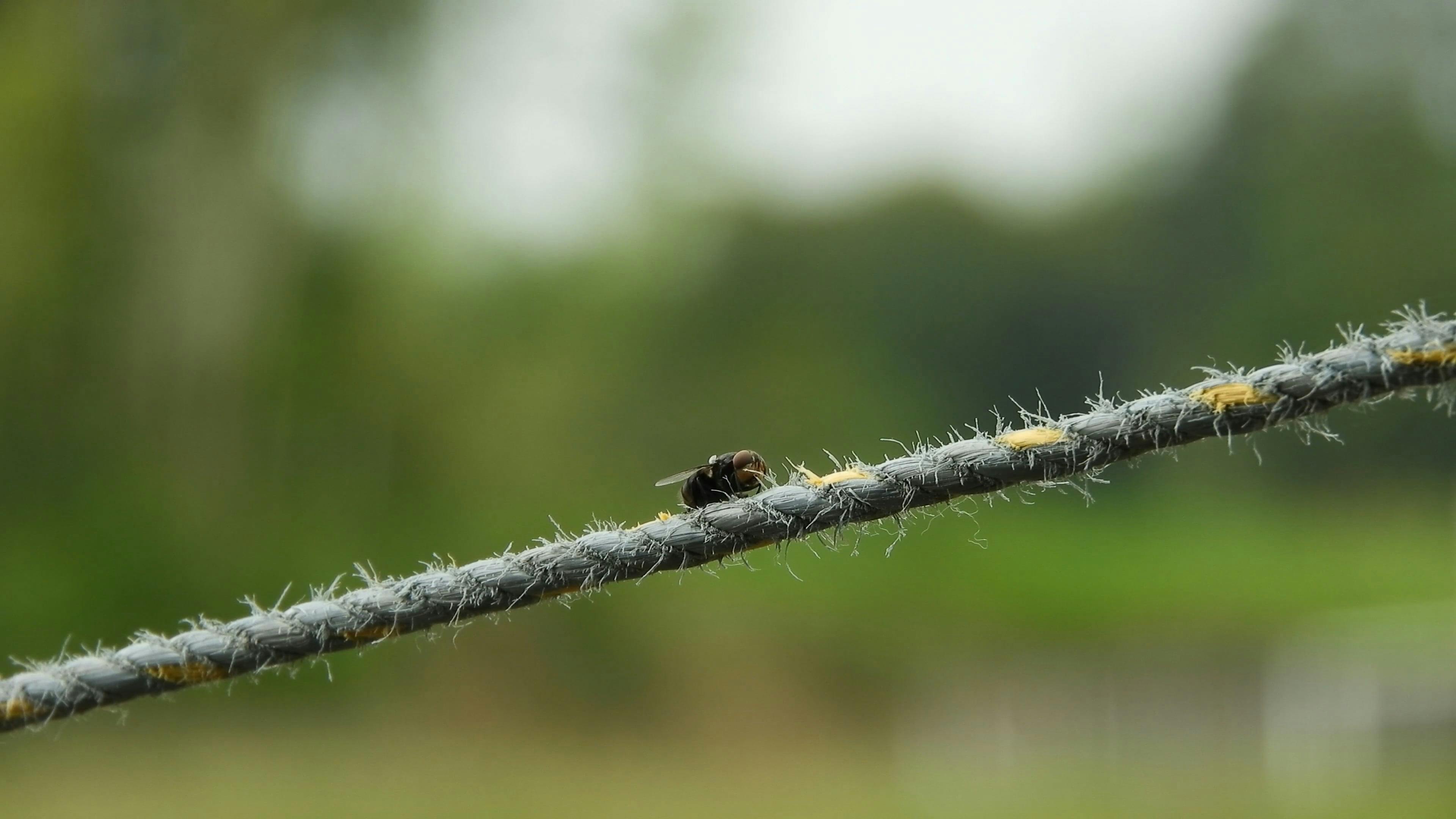 Morning Vibes Zoom Background Videos, Download The BEST Free 4k Stock ...