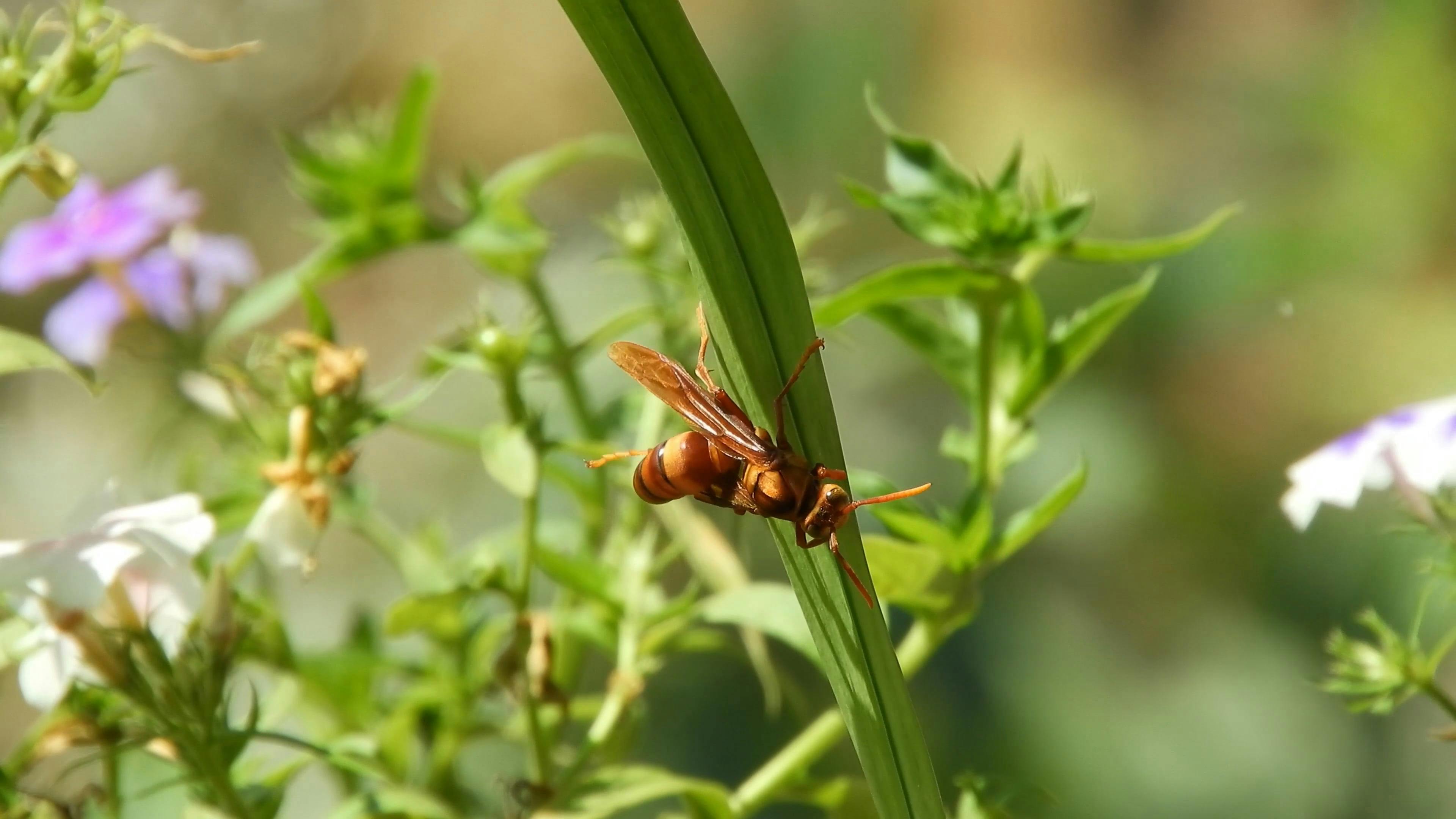 Animated Background For 1 Minute Long Videos, Download The BEST Free 4k ...