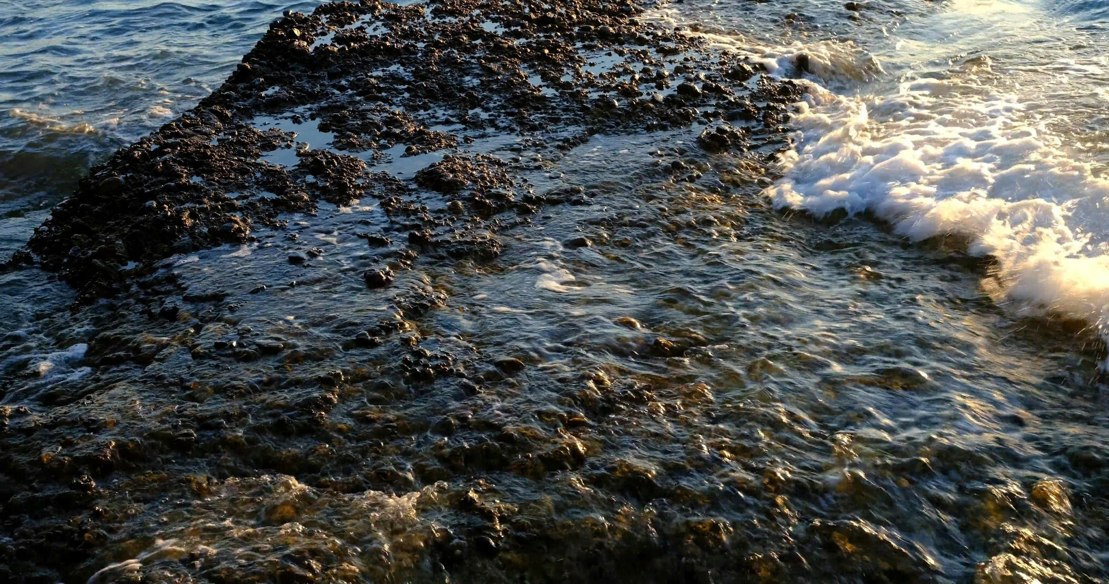 Ocean Waves Rolling over a Rock Free Stock Video Footage, Royalty-Free ...