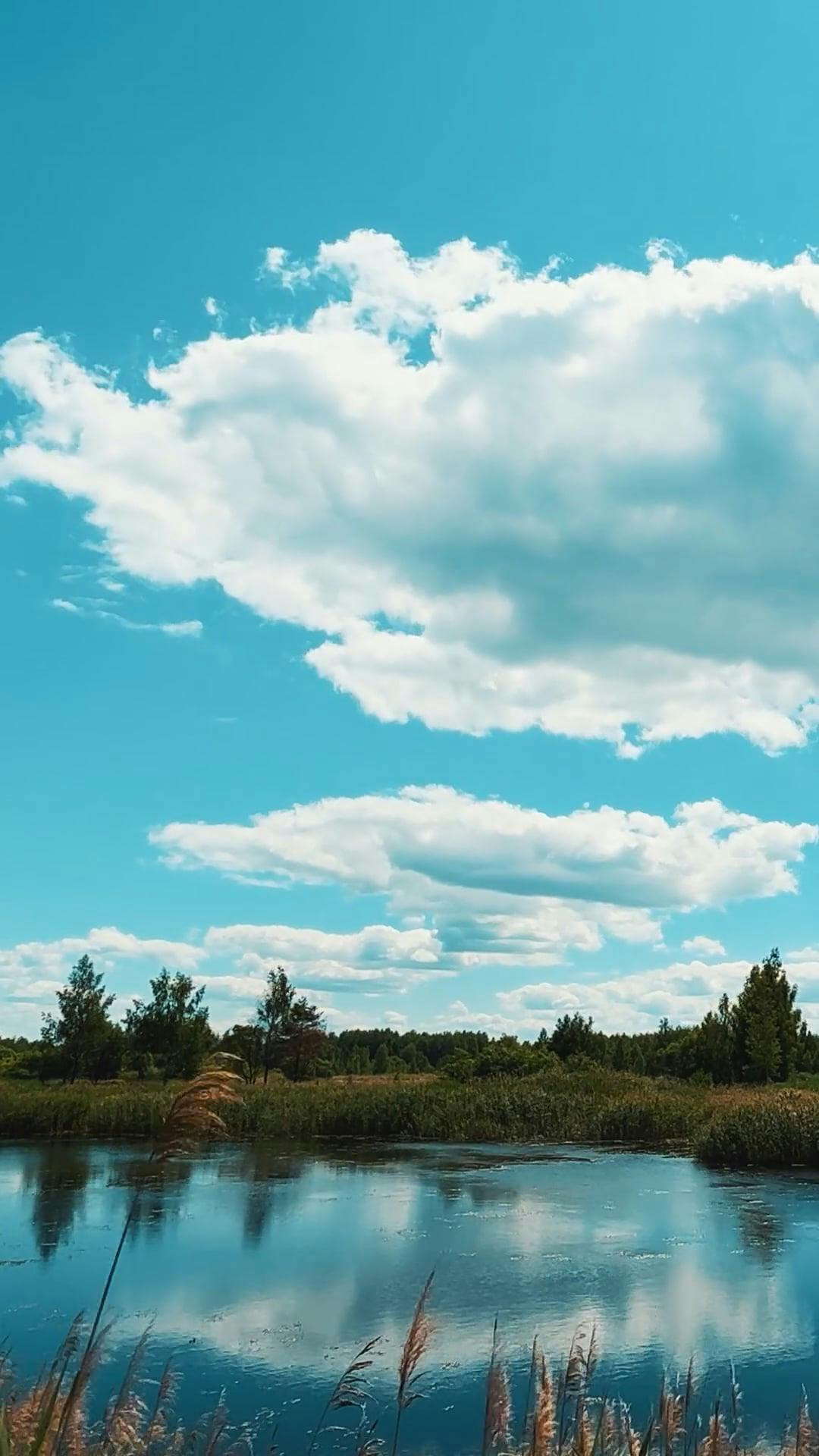 Time Lapse of Clouds Moving Above a Lake Free Stock Video Footage ...