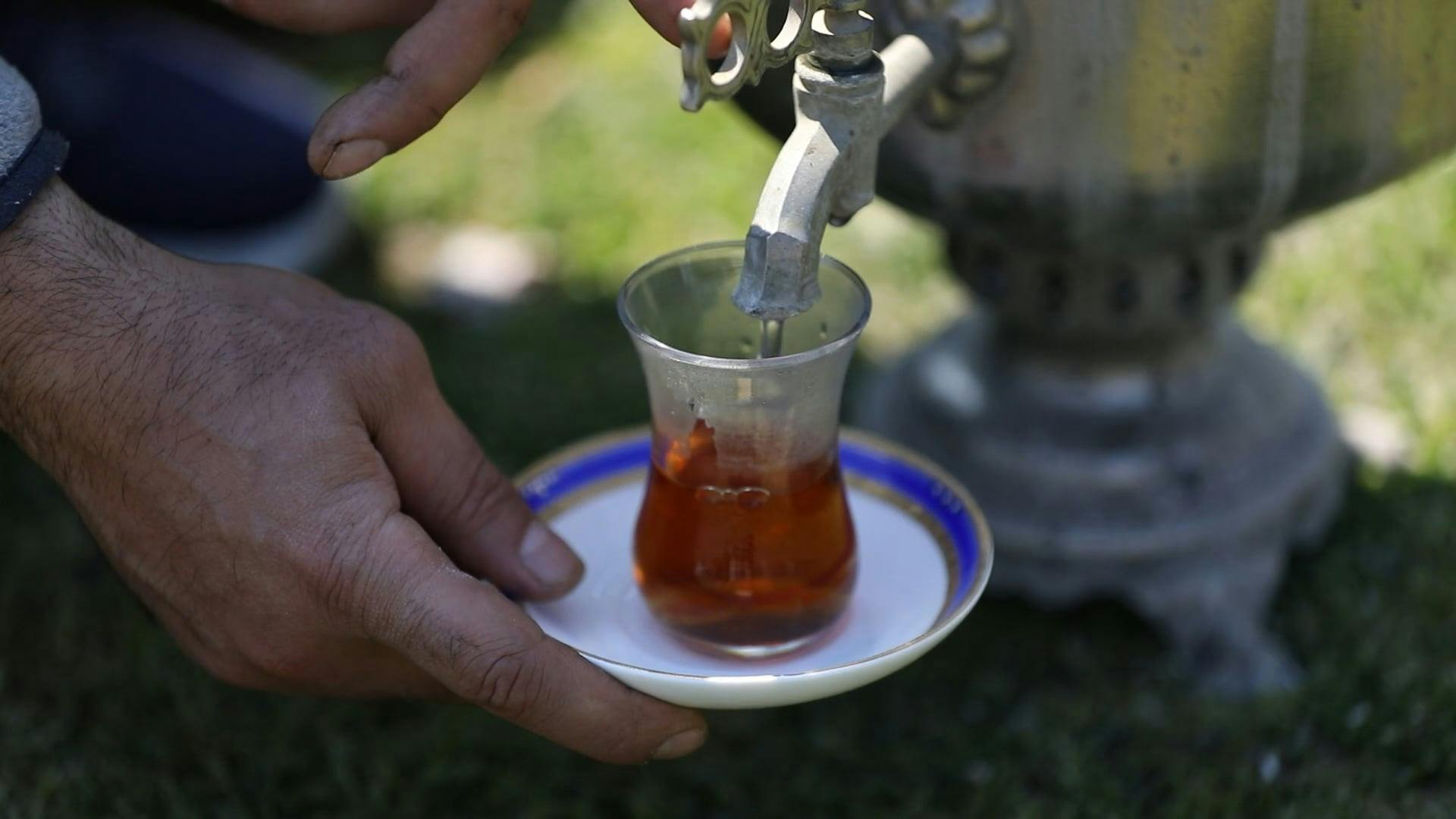 Person Pouring Tea into a Cup Free Stock Video Footage, Royalty-Free 4K ...