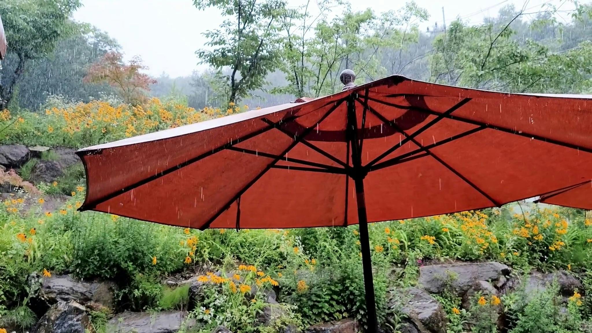 Open Umbrella during Rainfall Free Stock Video Footage, Royalty-Free 4K ...