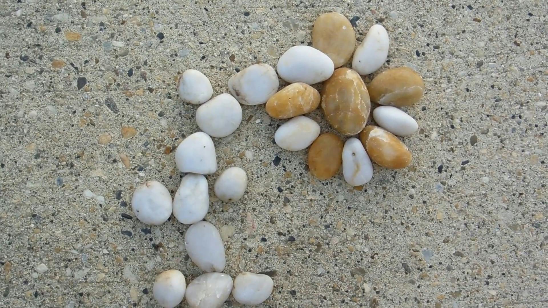 Decorative Stone Flower Video Free Stock Video Footage, Royalty-Free 4K ...