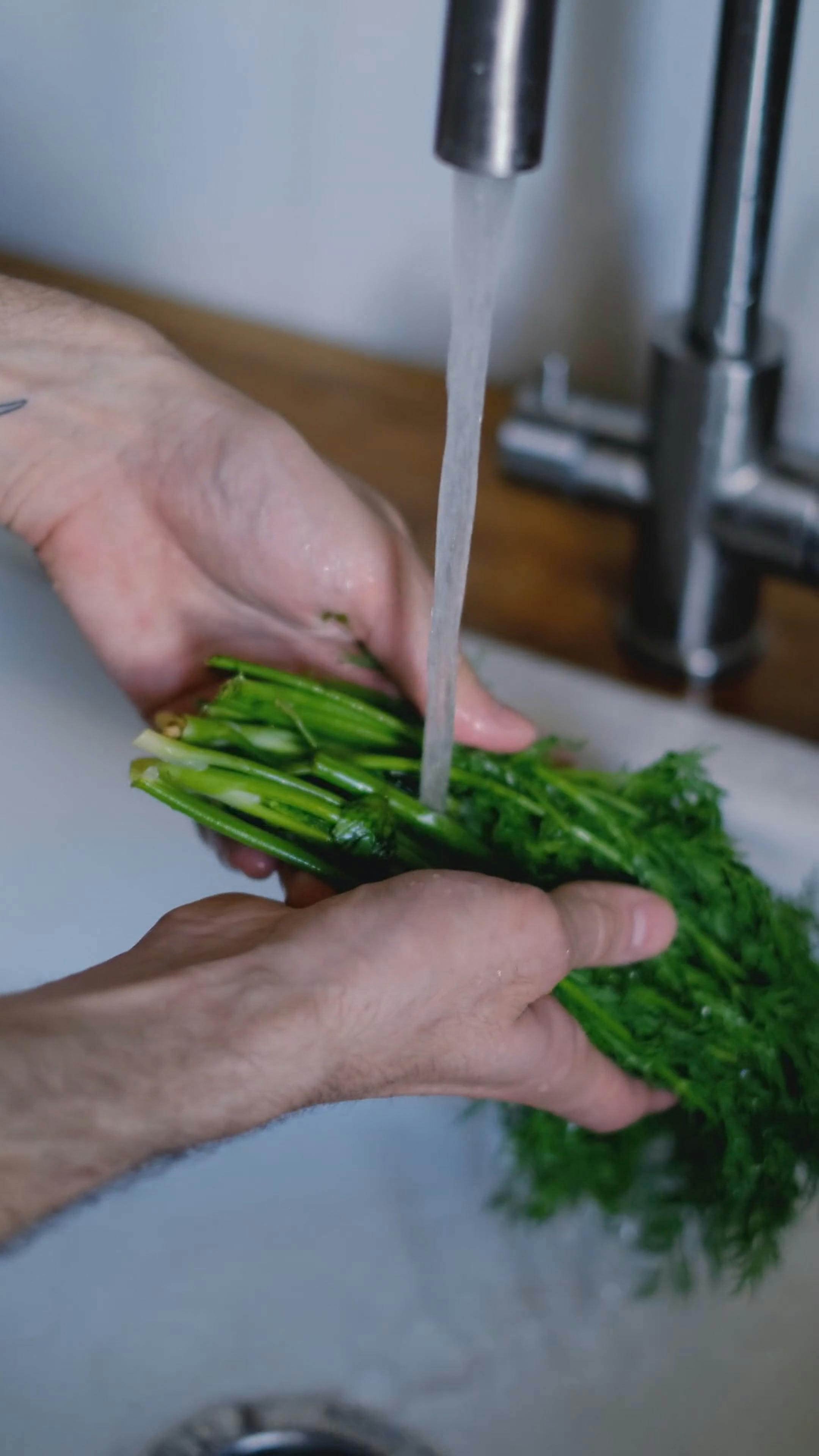 Herb Washing Videos, Download The BEST Free 4k Stock Video Footage ...