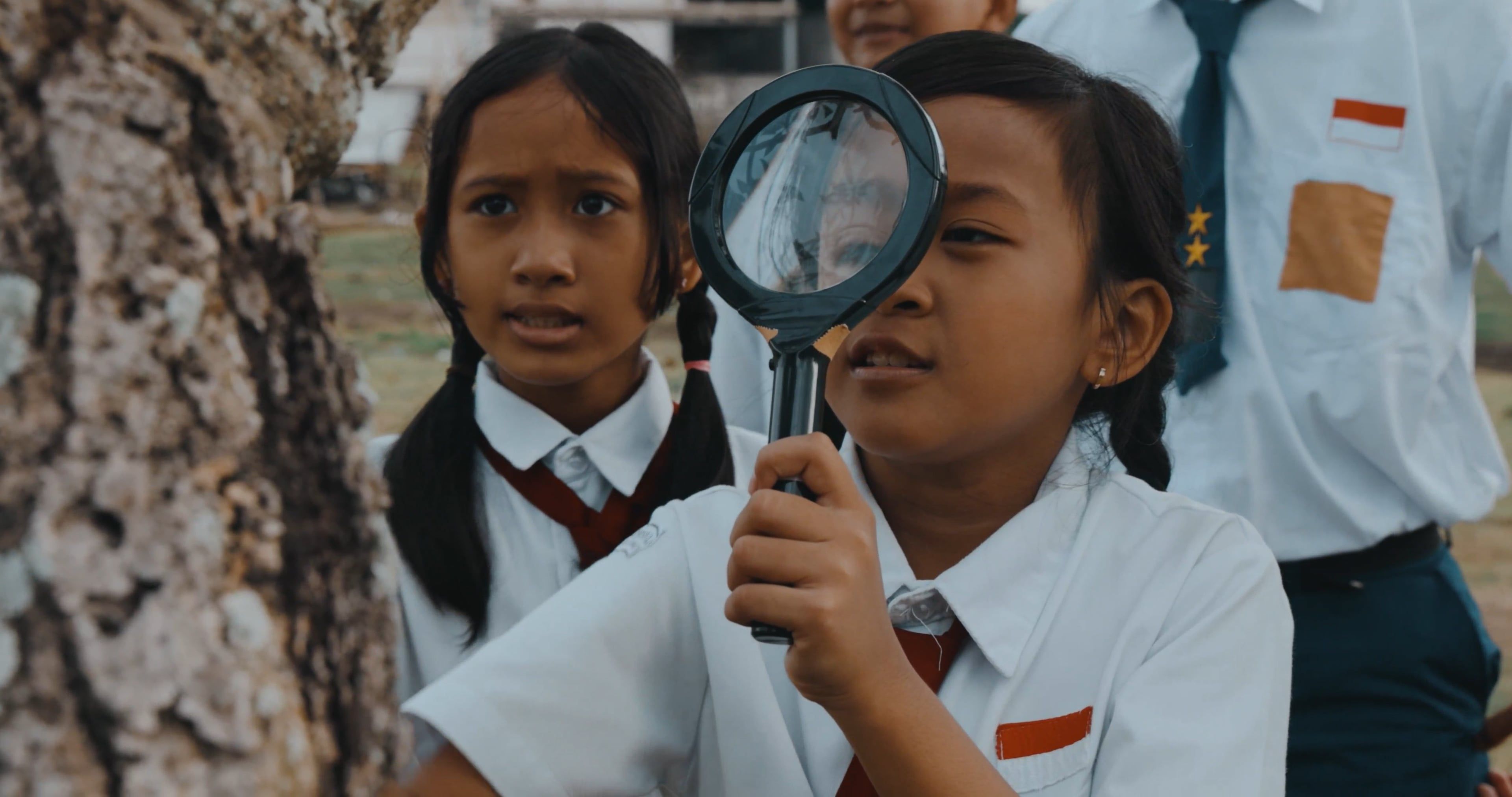 Schoolgirls Looking at a Tree During a Field Trip Free Stock Video ...