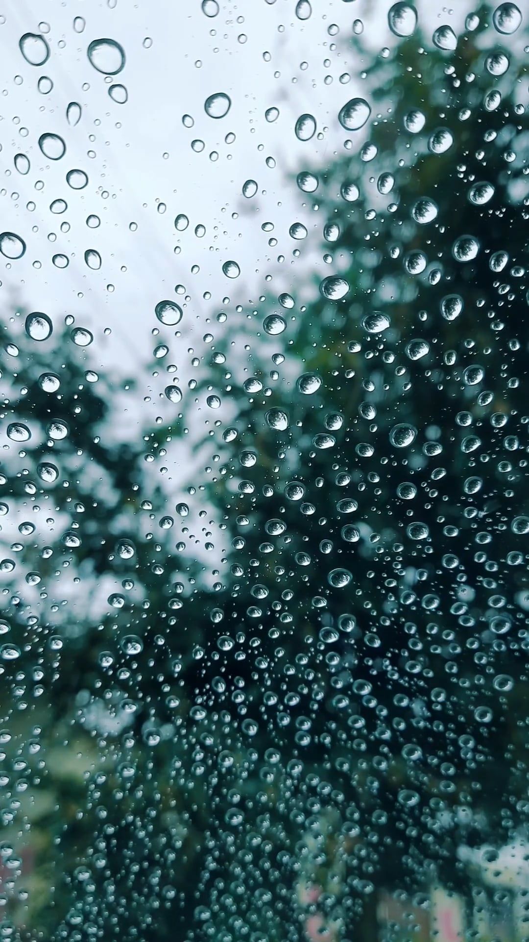 Rain Window Videos, Download The BEST Free 4k Stock Video Footage ...