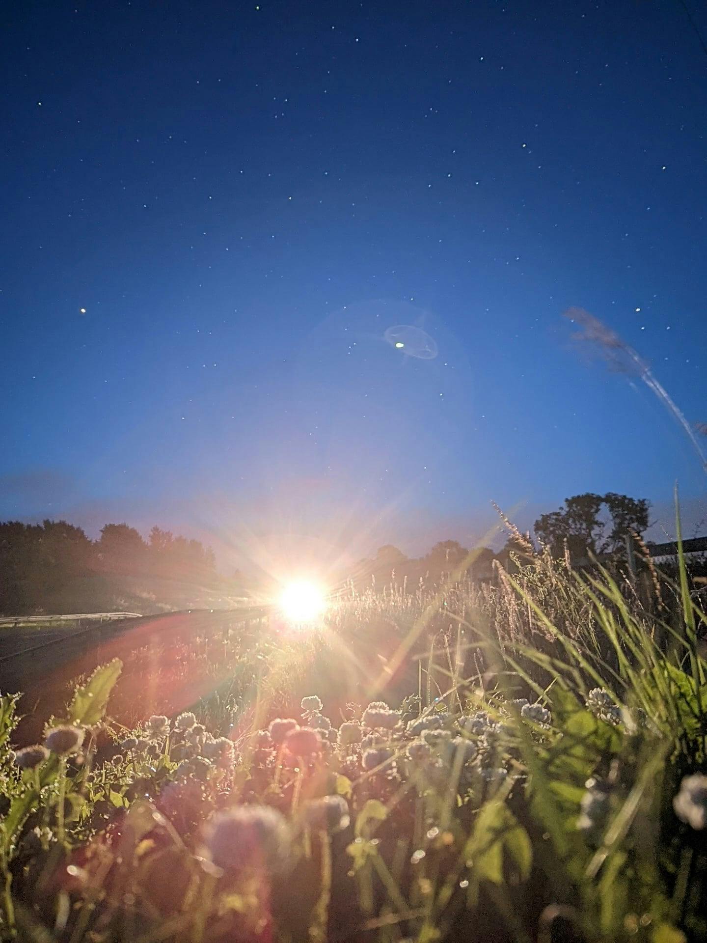 Time-Lapse of the Night Sky Free Stock Video Footage, Royalty-Free 4K ...