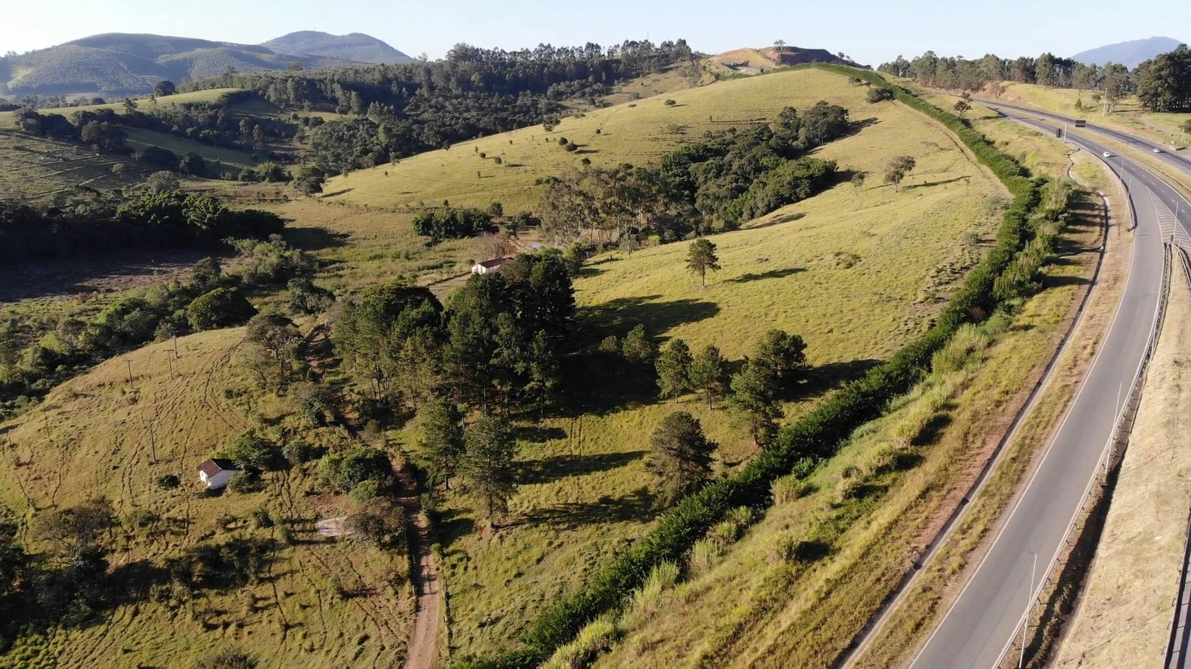 Vídeos de stock gratuitos sobre @al aire libre, arboles, asfalto ...