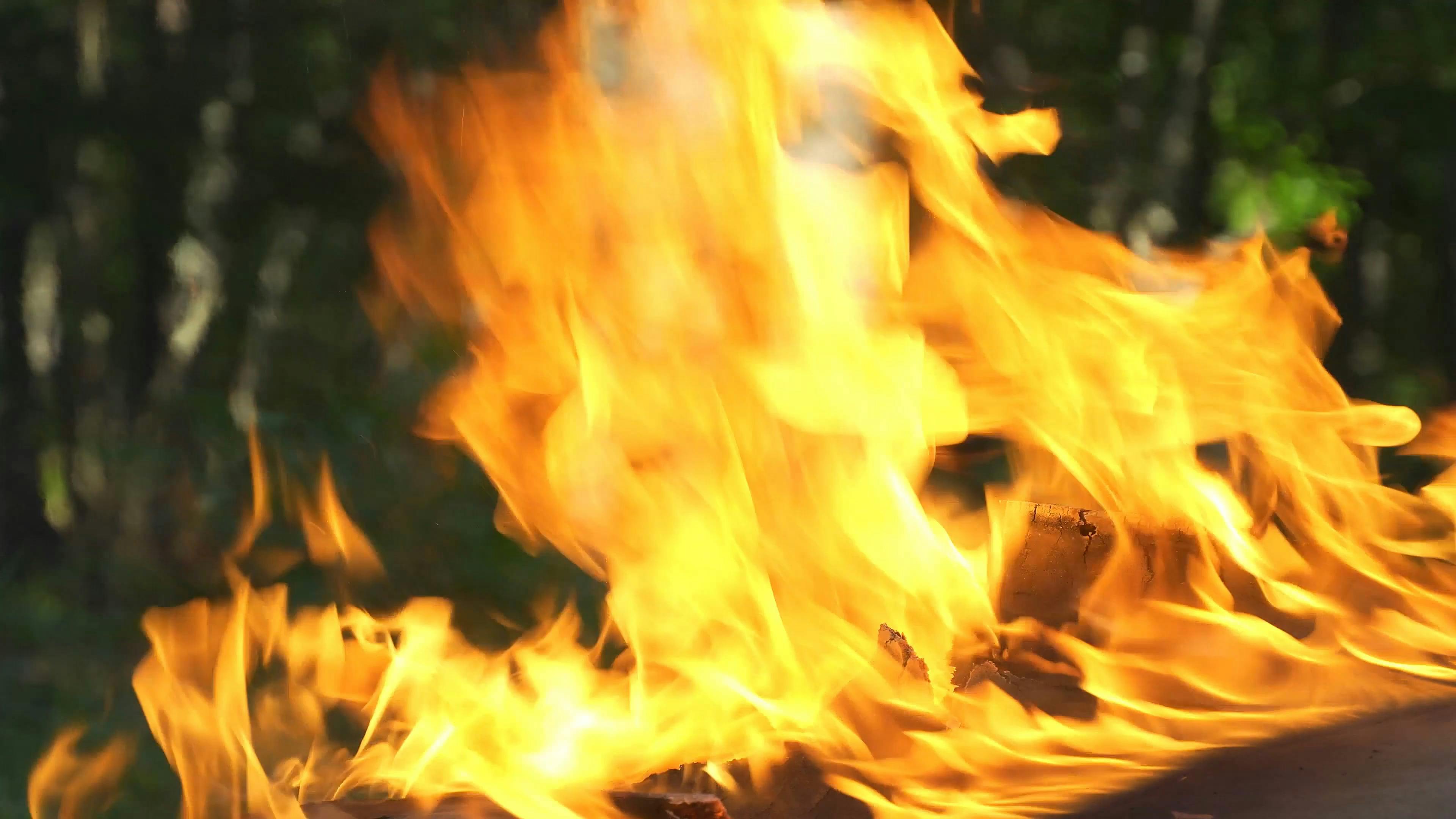 Bride and Groom Doing a Fire Ritual Free Stock Video Footage, Royalty ...