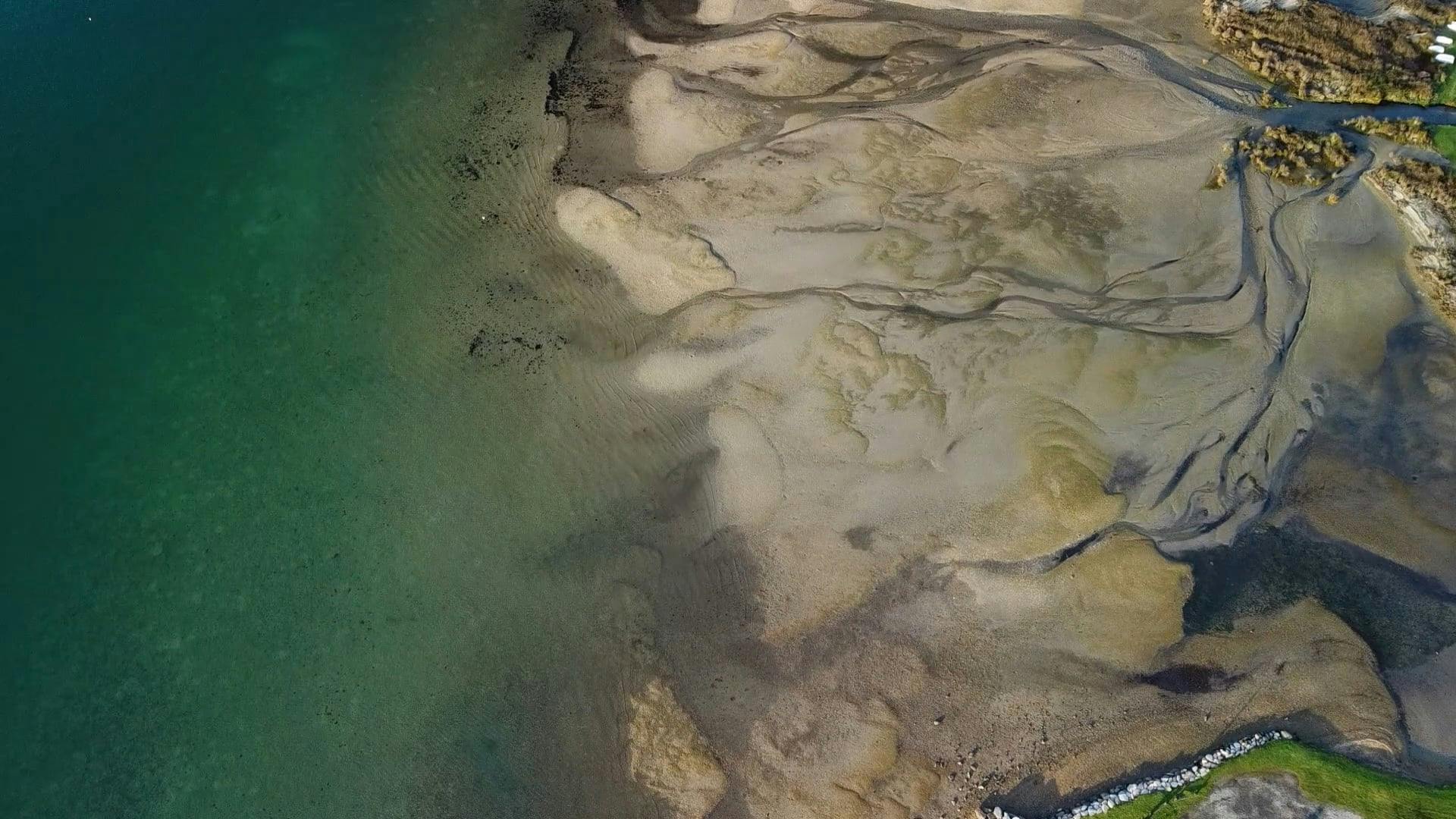 Nathan Cowley - 写真