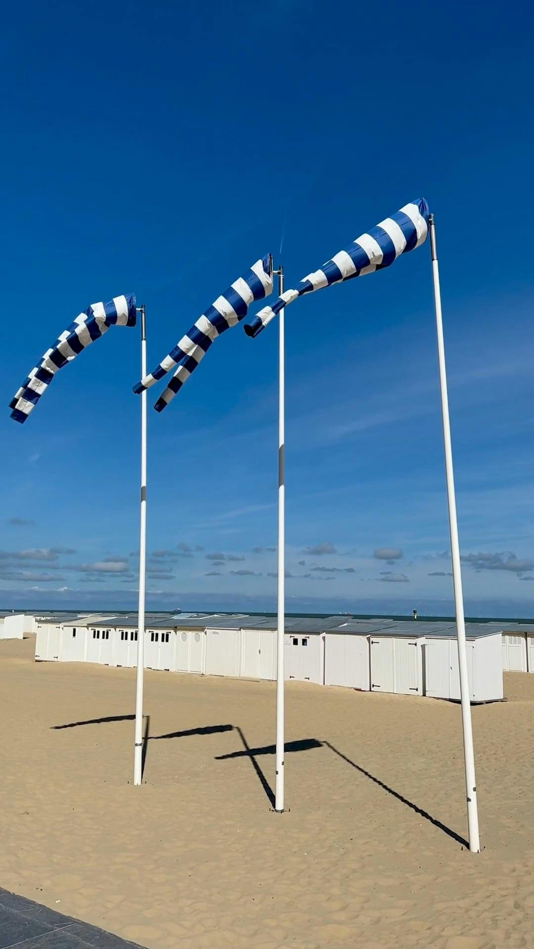 Windsocks Waving in the Wind on a Beach Free Stock Video Footage ...