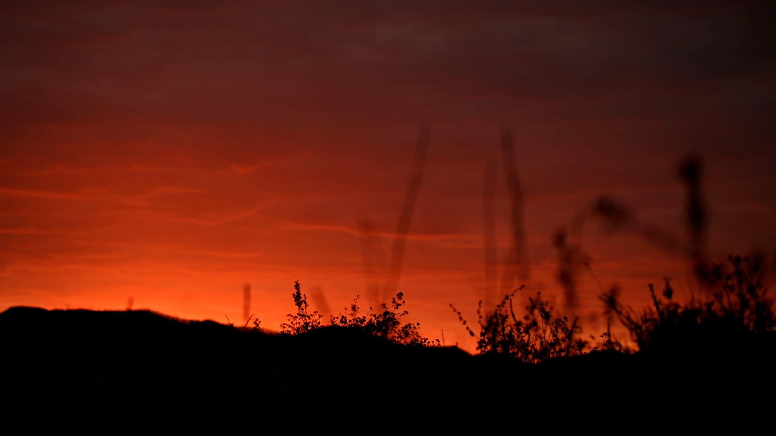 30,342+ Best Free Red sky 4K Stock Video Footage & Royalty-Free HD ...