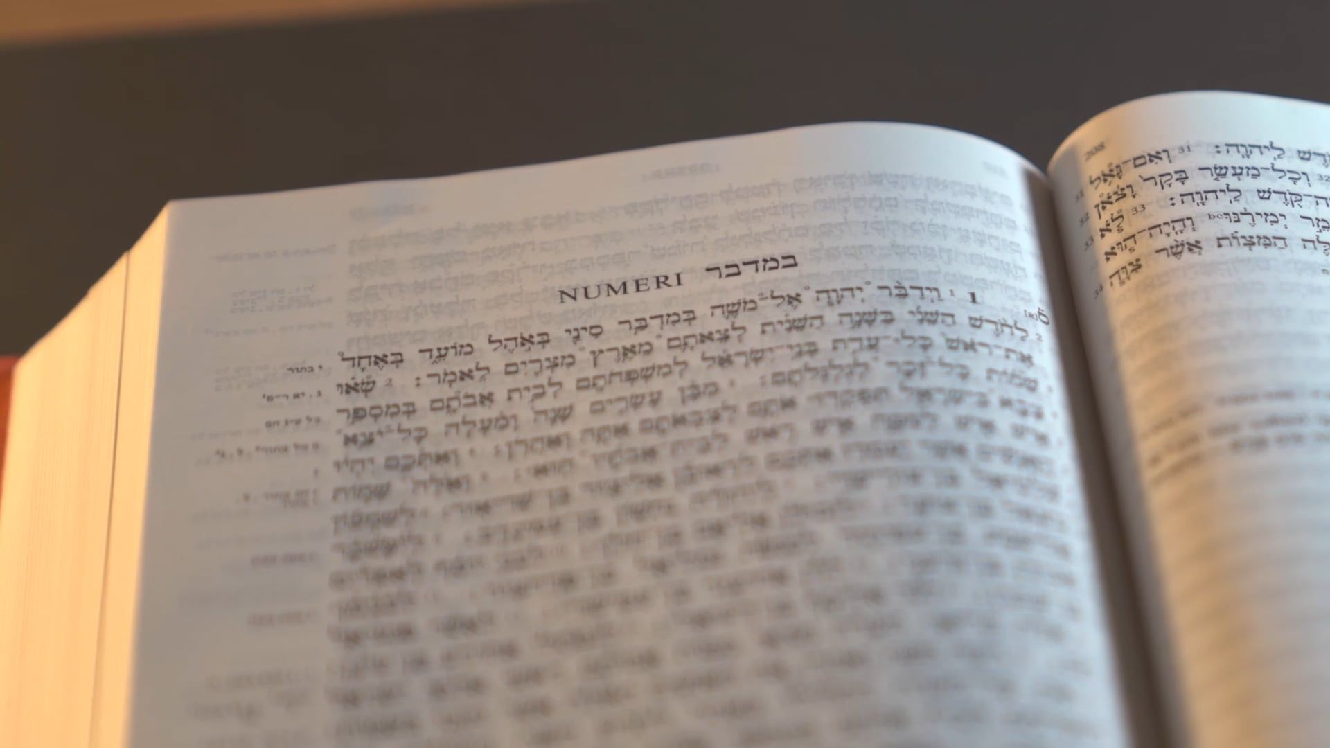 A Bible Open At The Book Of Psalm Pages Free Stock Video Footage ...