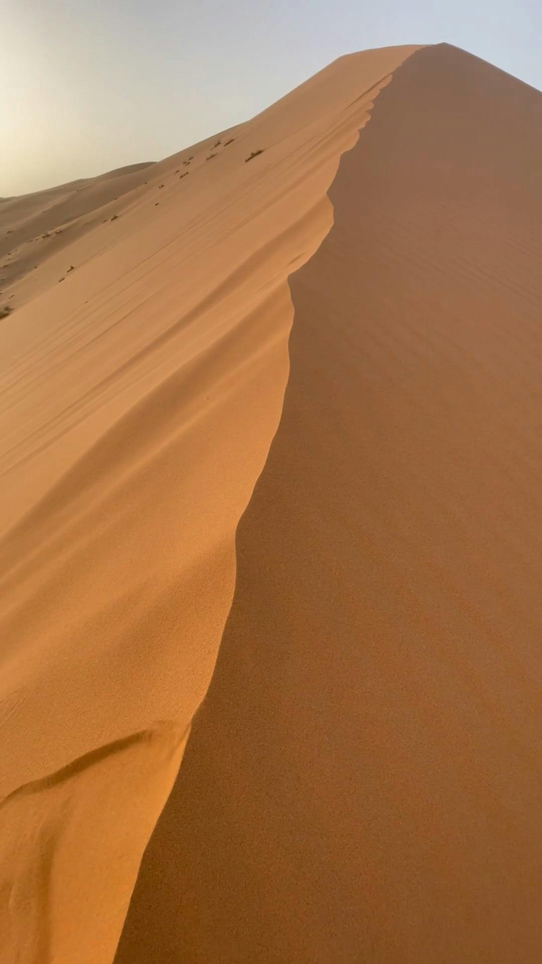 Sand Ripples in a Desert Landscape Free Stock Video Footage, Royalty ...