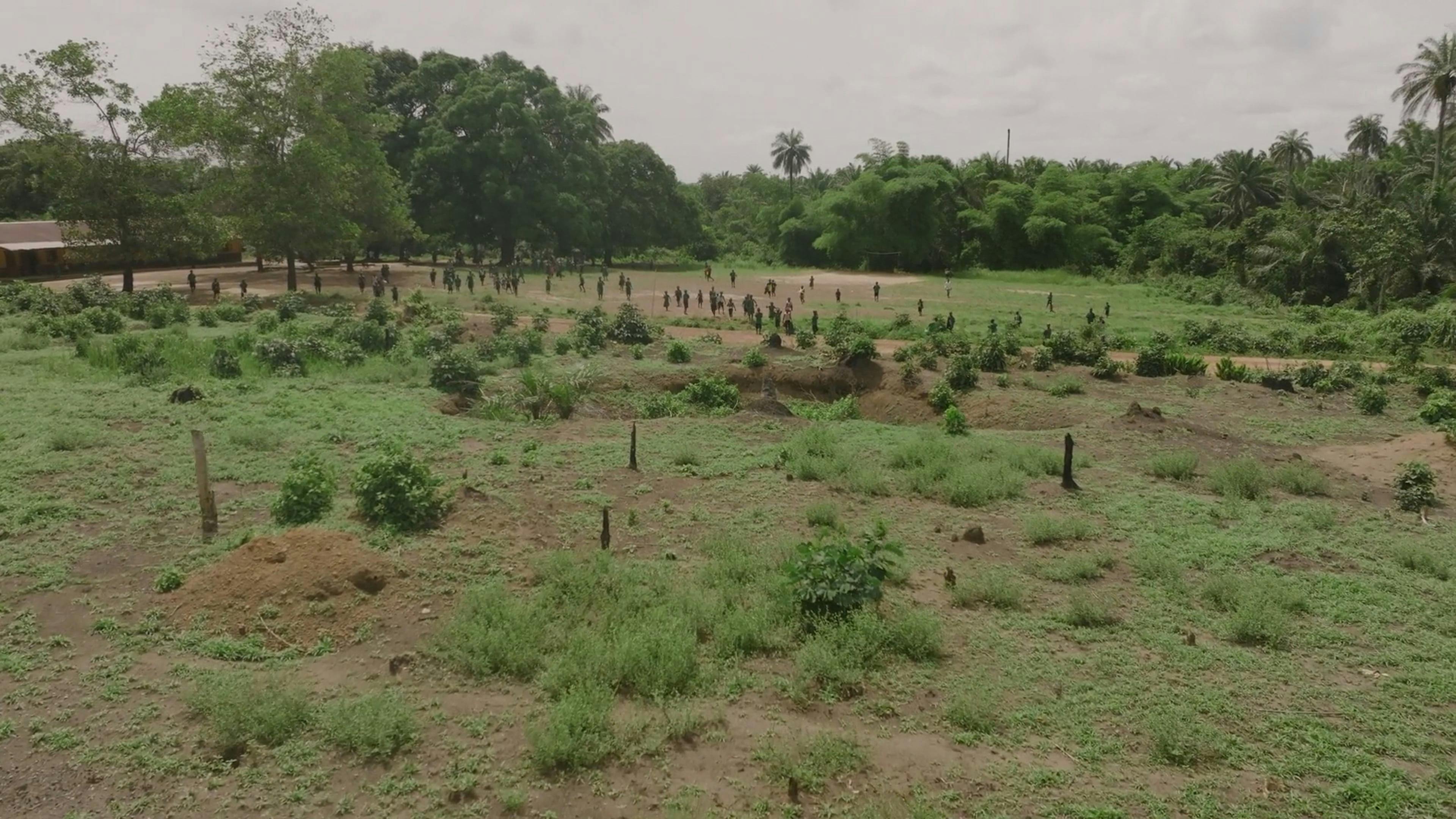 Children Running around Trees Free Stock Video Footage, Royalty-Free 4K ...