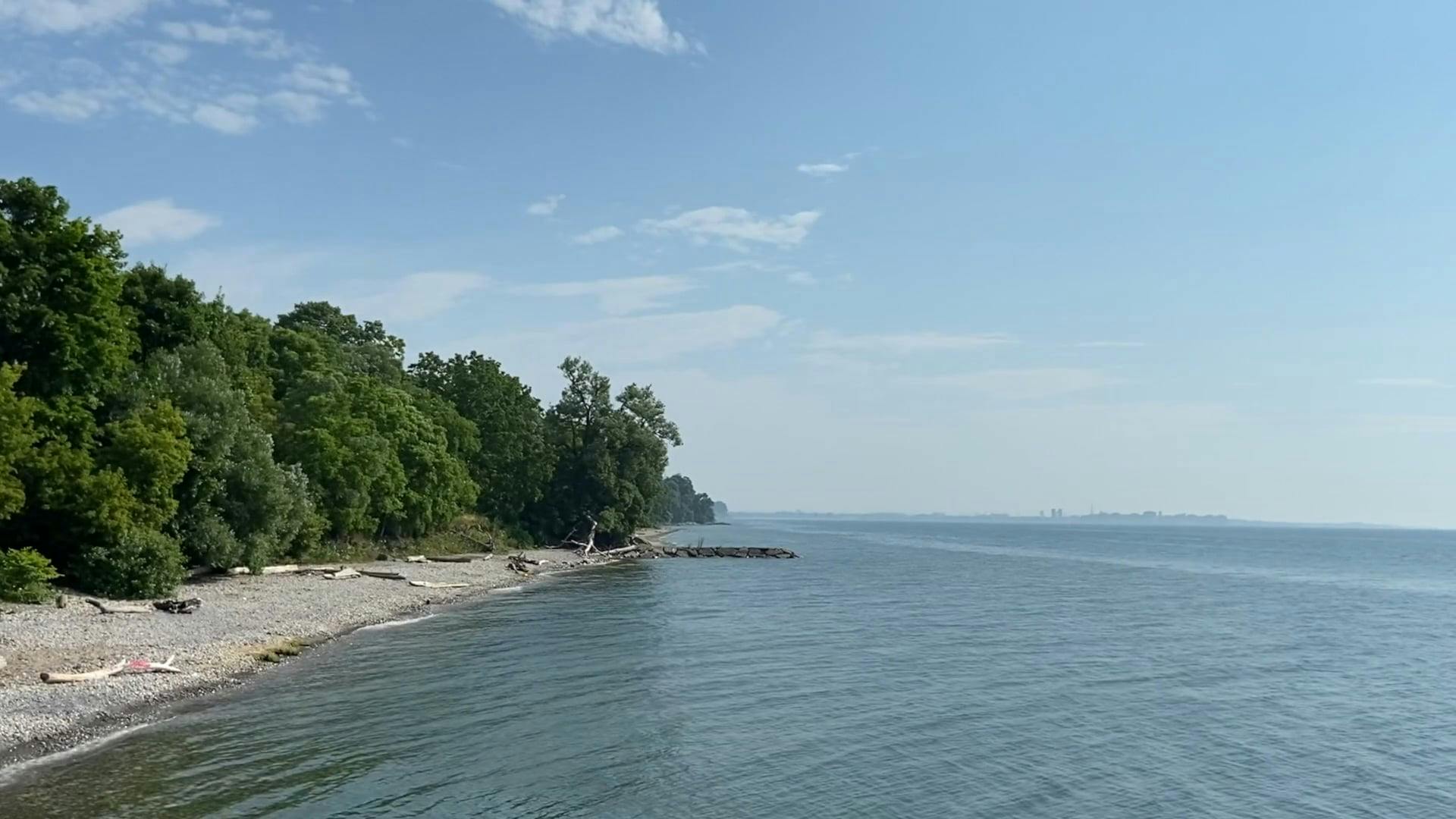 Perimeter Forest Videos, Download The BEST Free 4k Stock Video Footage ...