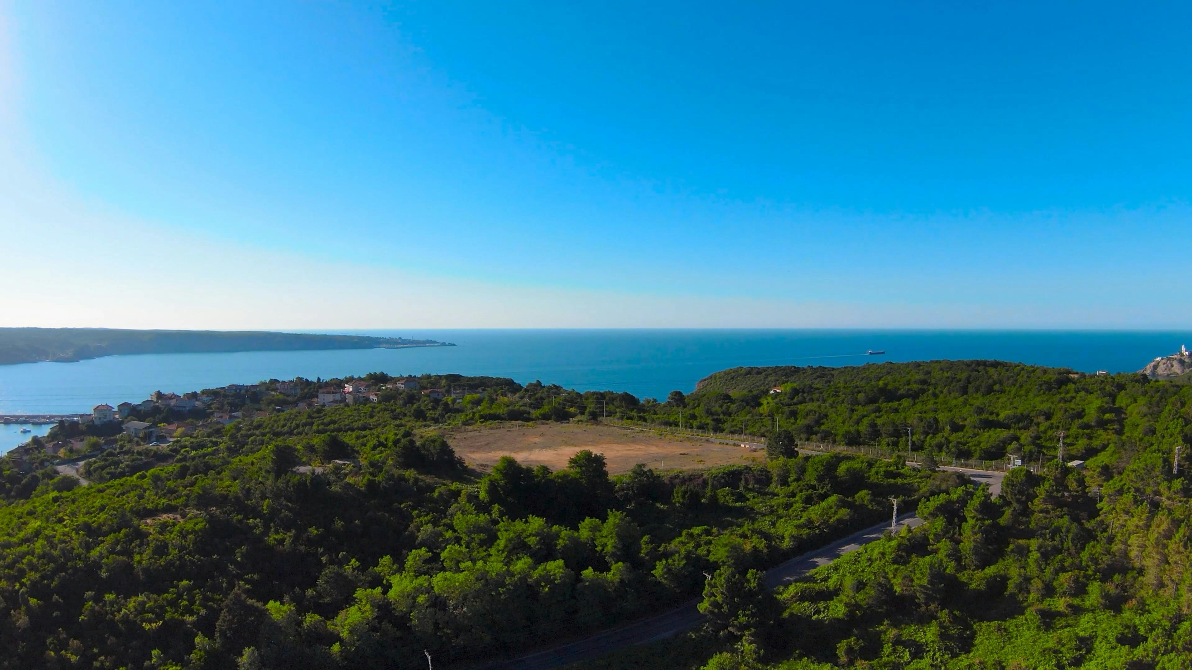 Forest near Sea Shore Free Stock Video Footage, Royalty-Free 4K & HD ...