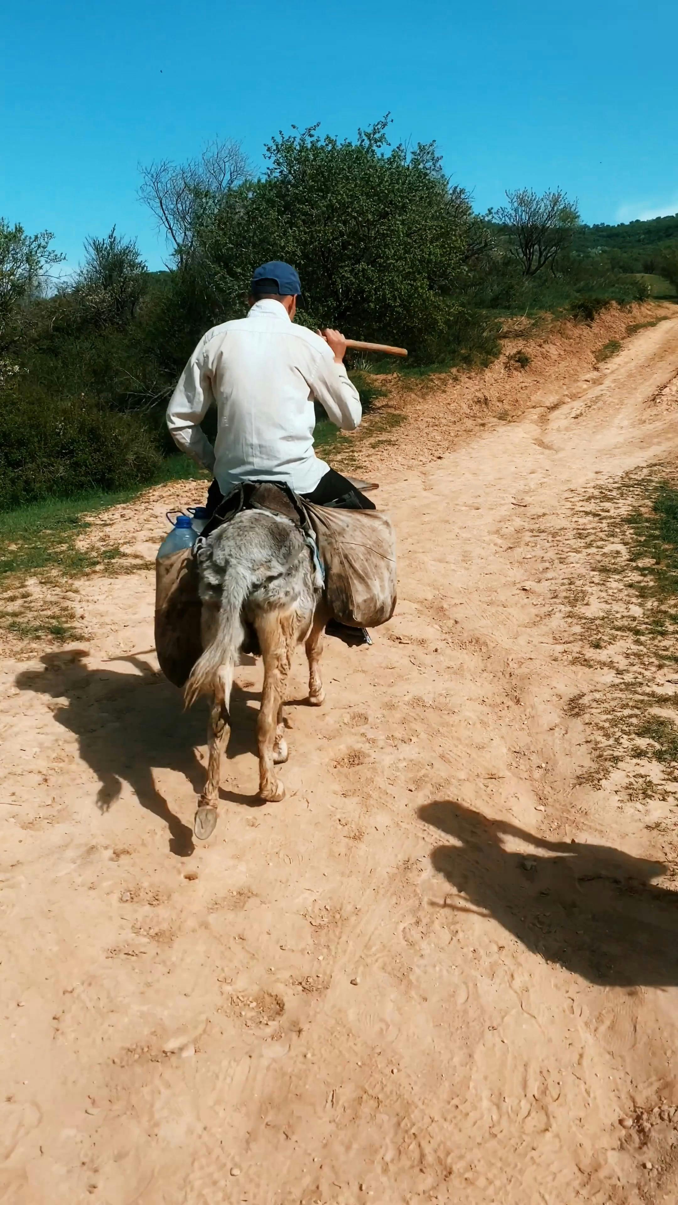 Back View of a Man Riding a Donkey on a Dirt Road Free Stock Video ...