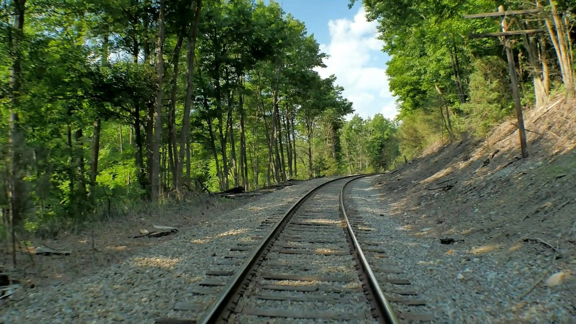 Wood Paths Videos, Download The BEST Free 4k Stock Video Footage & Wood ...