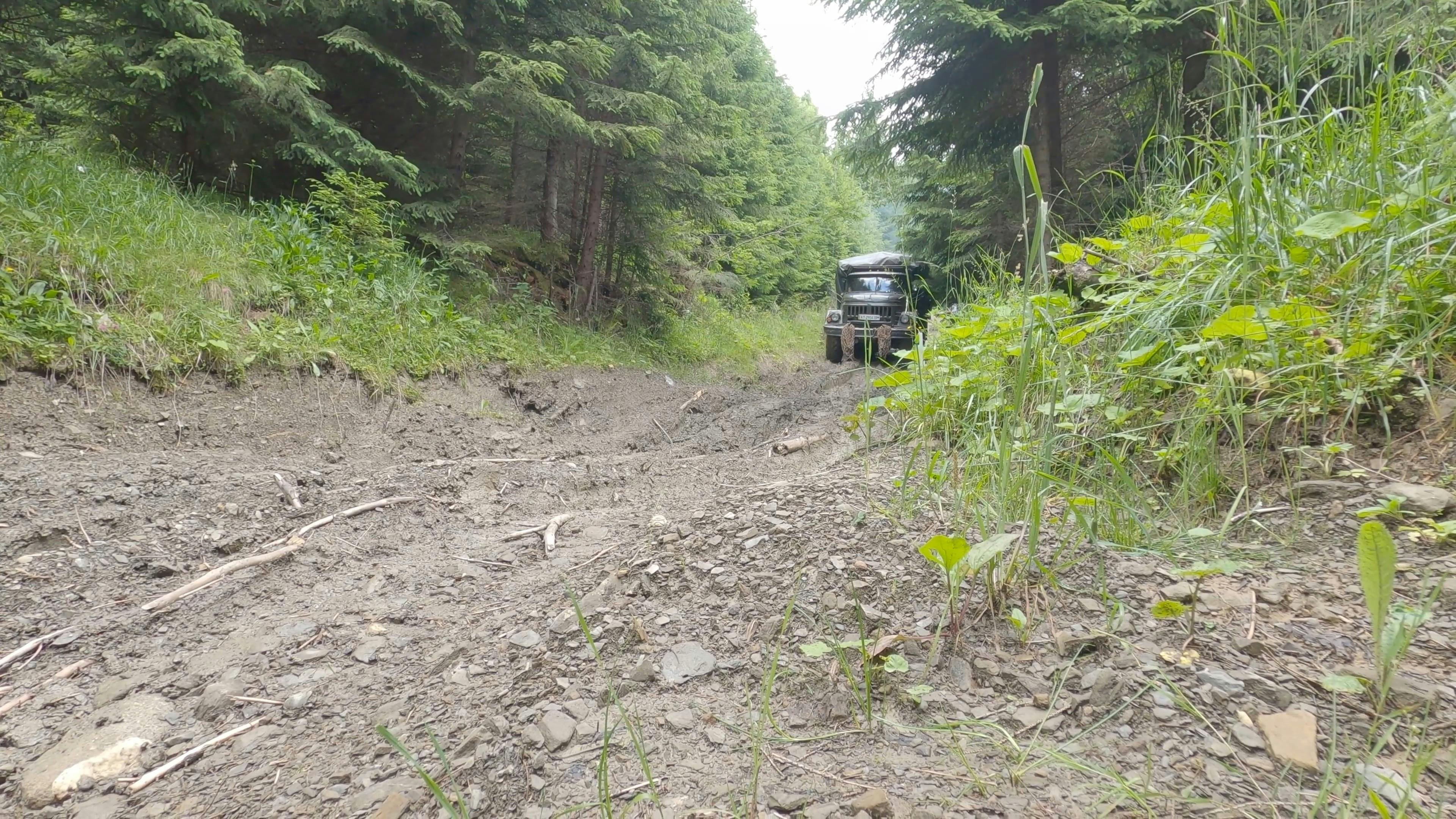 Truck Driving in Forest Free Stock Video Footage, Royalty-Free 4K & HD ...