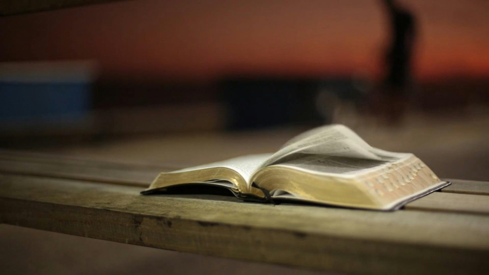 Pages of Bible on Wind Free Stock Video Footage, Royalty-Free 4K & HD ...