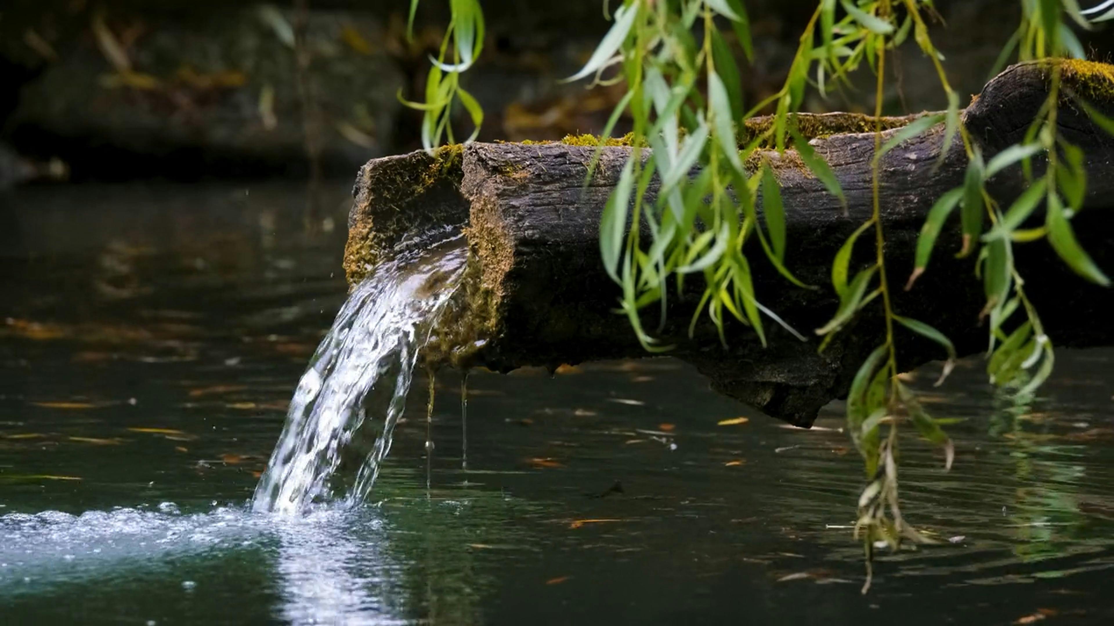 Flowing Water from Tree Trunk Free Stock Video Footage, Royalty-Free 4K ...