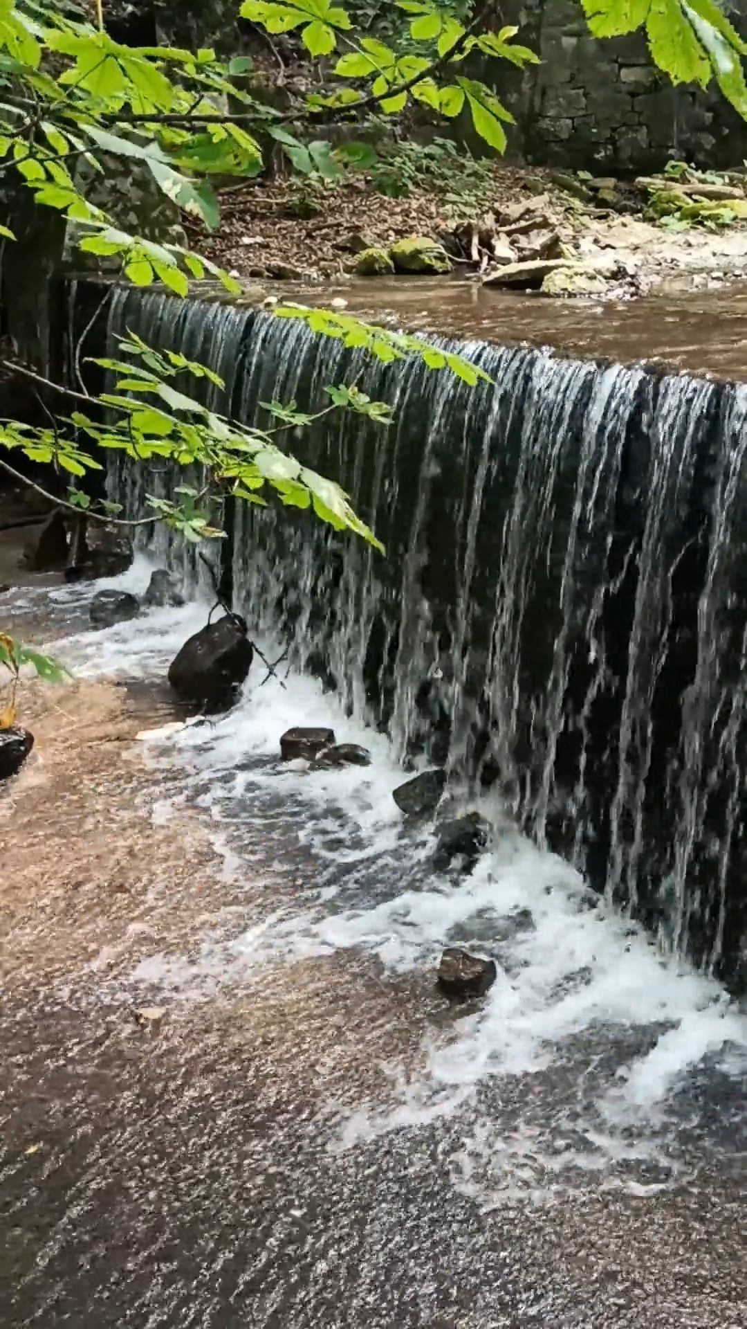 Waterfall in Forest Free Stock Video Footage, Royalty-Free 4K & HD ...