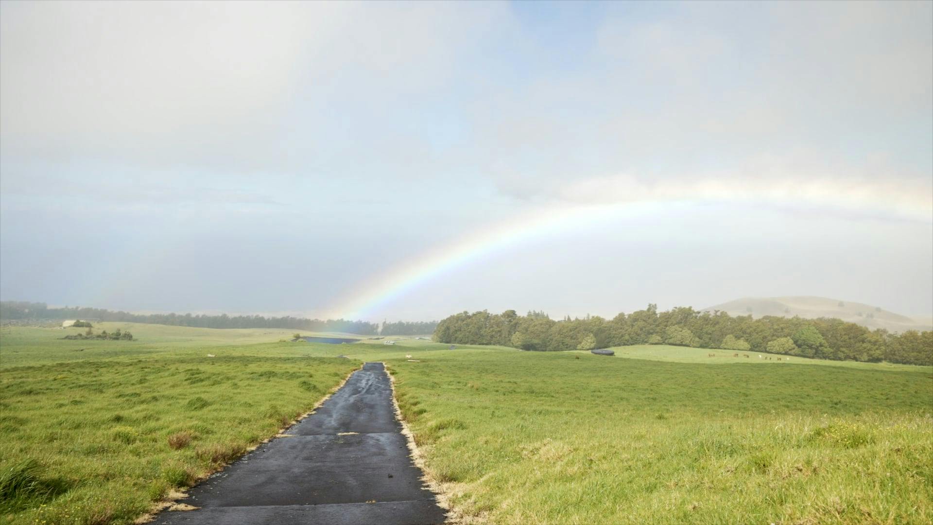 Rainbow Path Videos, Download The BEST Free 4k Stock Video Footage ...