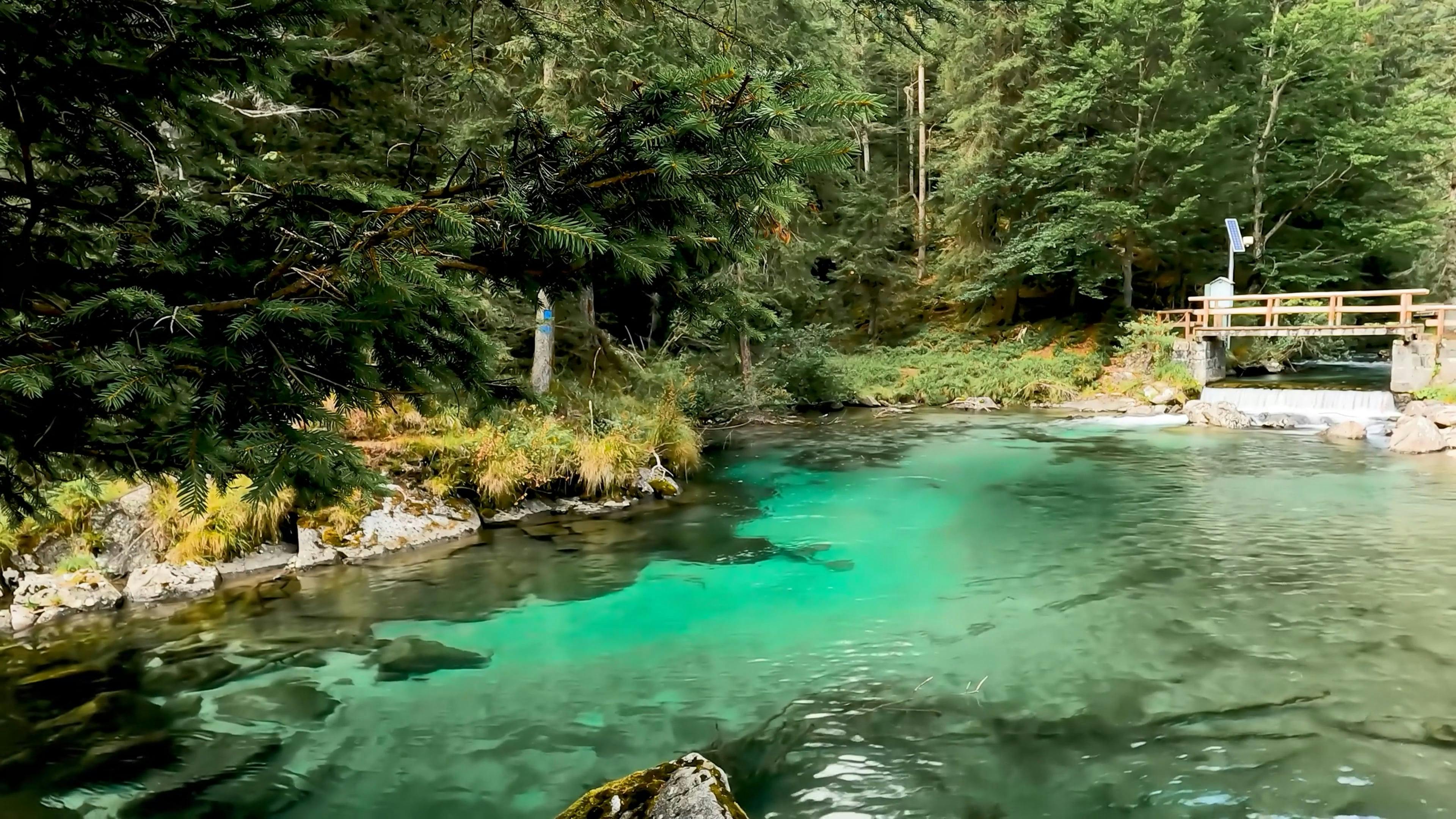 Ambient_Nature_ Atmosphere - 摄影